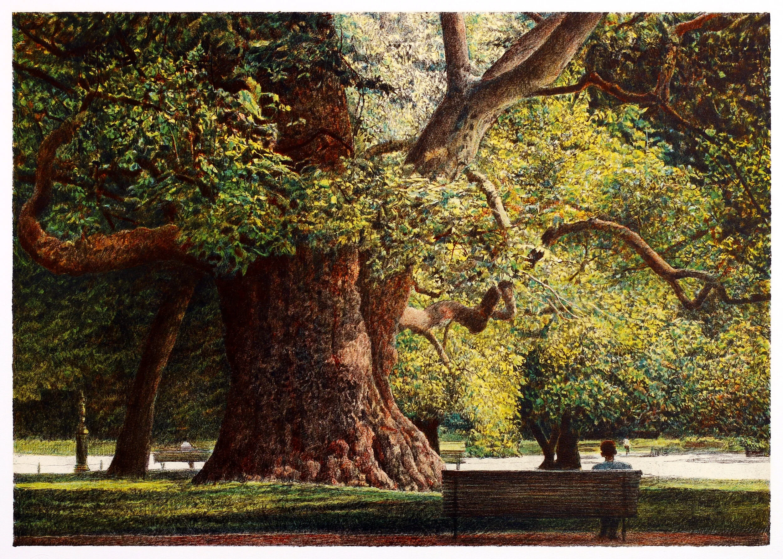 Art — Harold Altman Artist