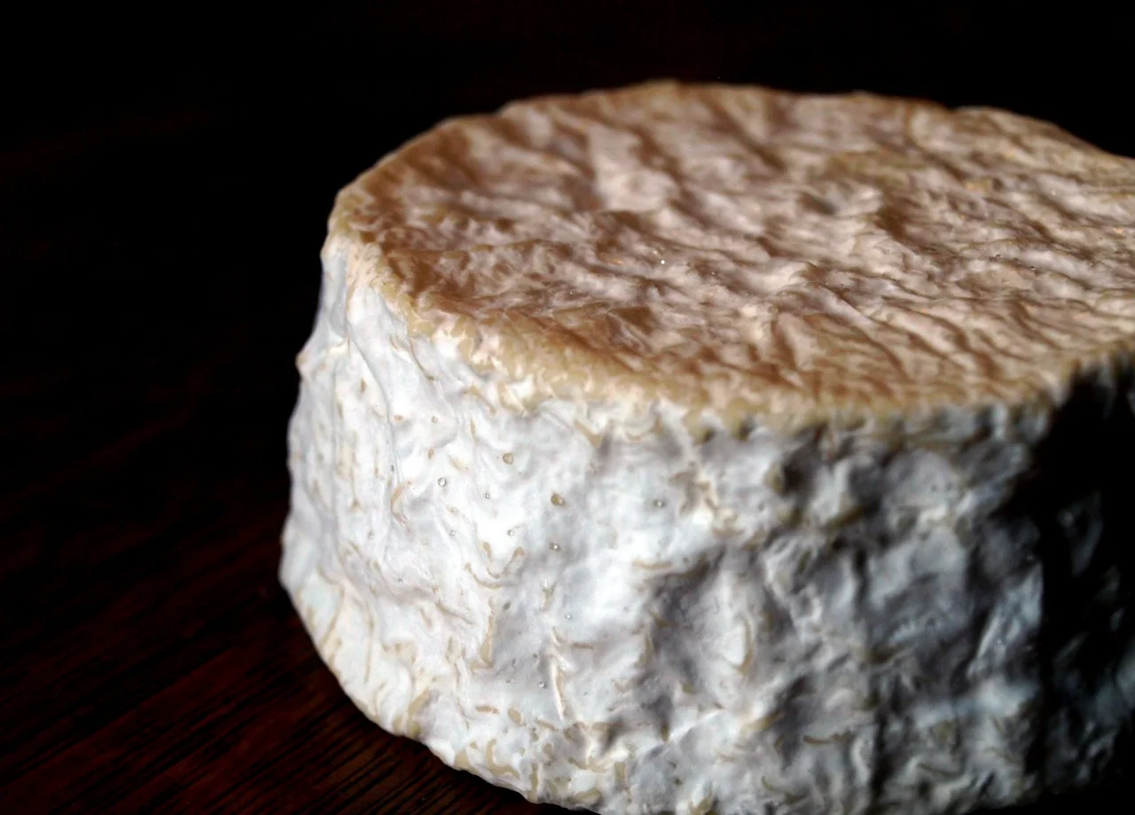 Directory of MA Cheeses — MASSACHUSETTS CHEESE GUILD