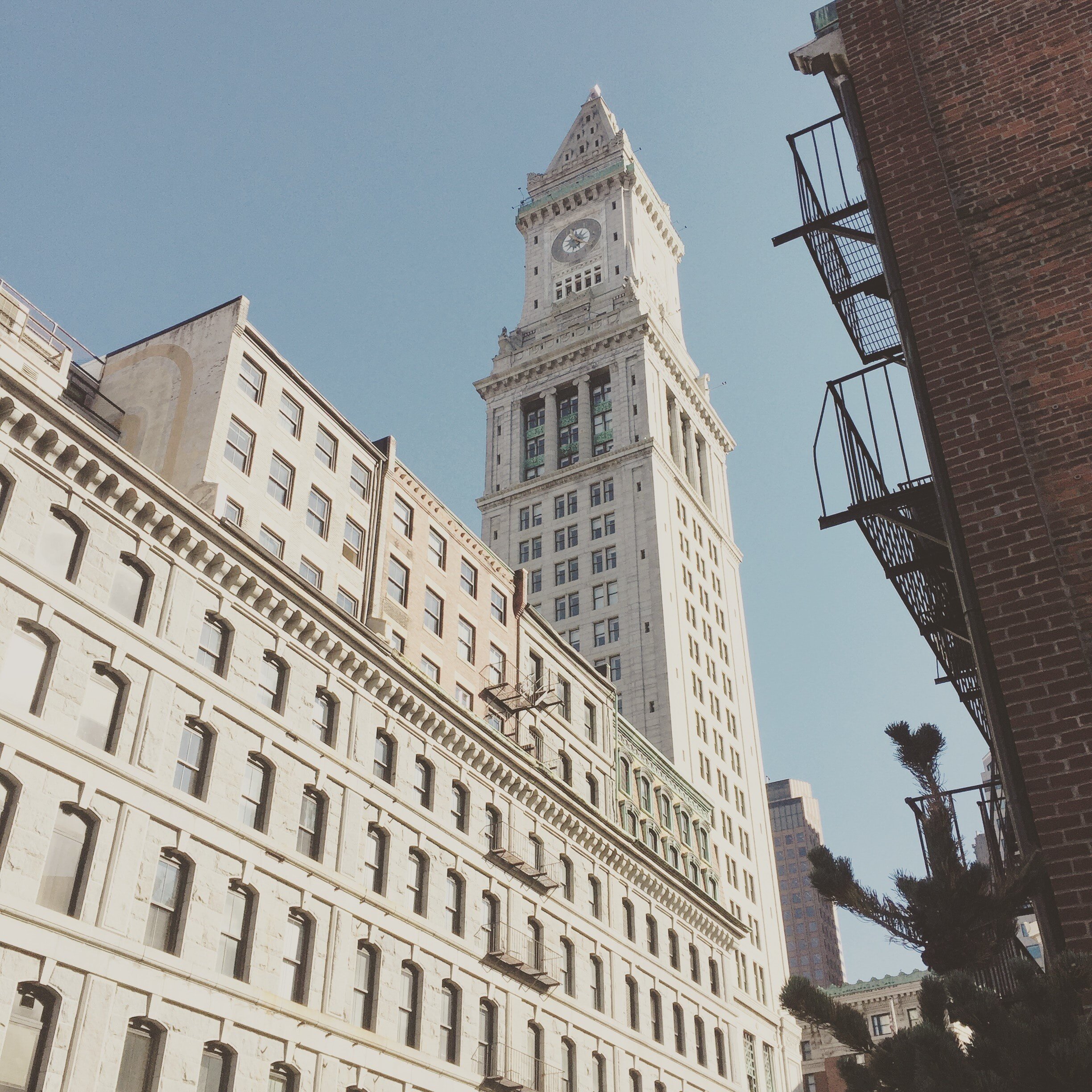 Continuum Development