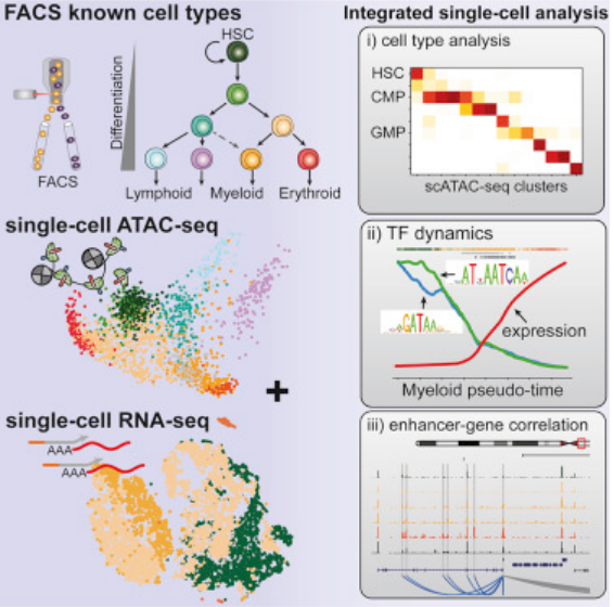 Publications — Greenleaf Lab @ Stanford