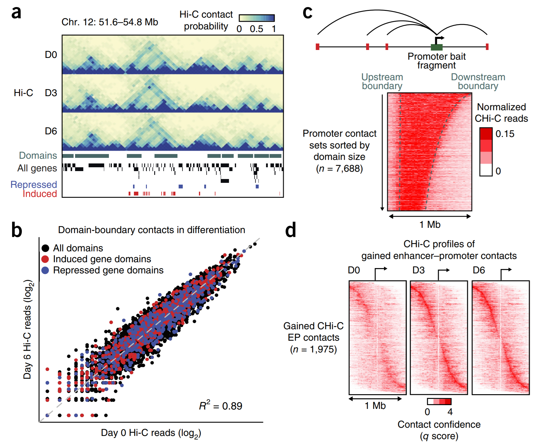 Publications — Greenleaf Lab @ Stanford