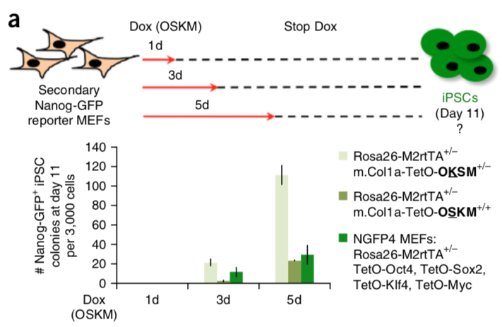 Publications — Greenleaf Lab @ Stanford