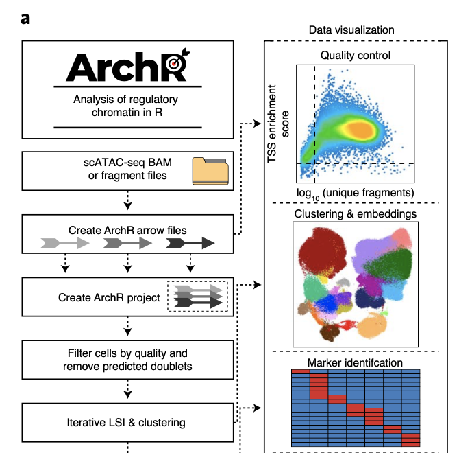 Publications — Greenleaf Lab @ Stanford
