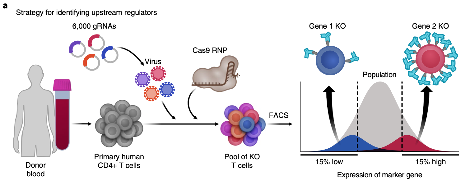 Publications — Greenleaf Lab @ Stanford