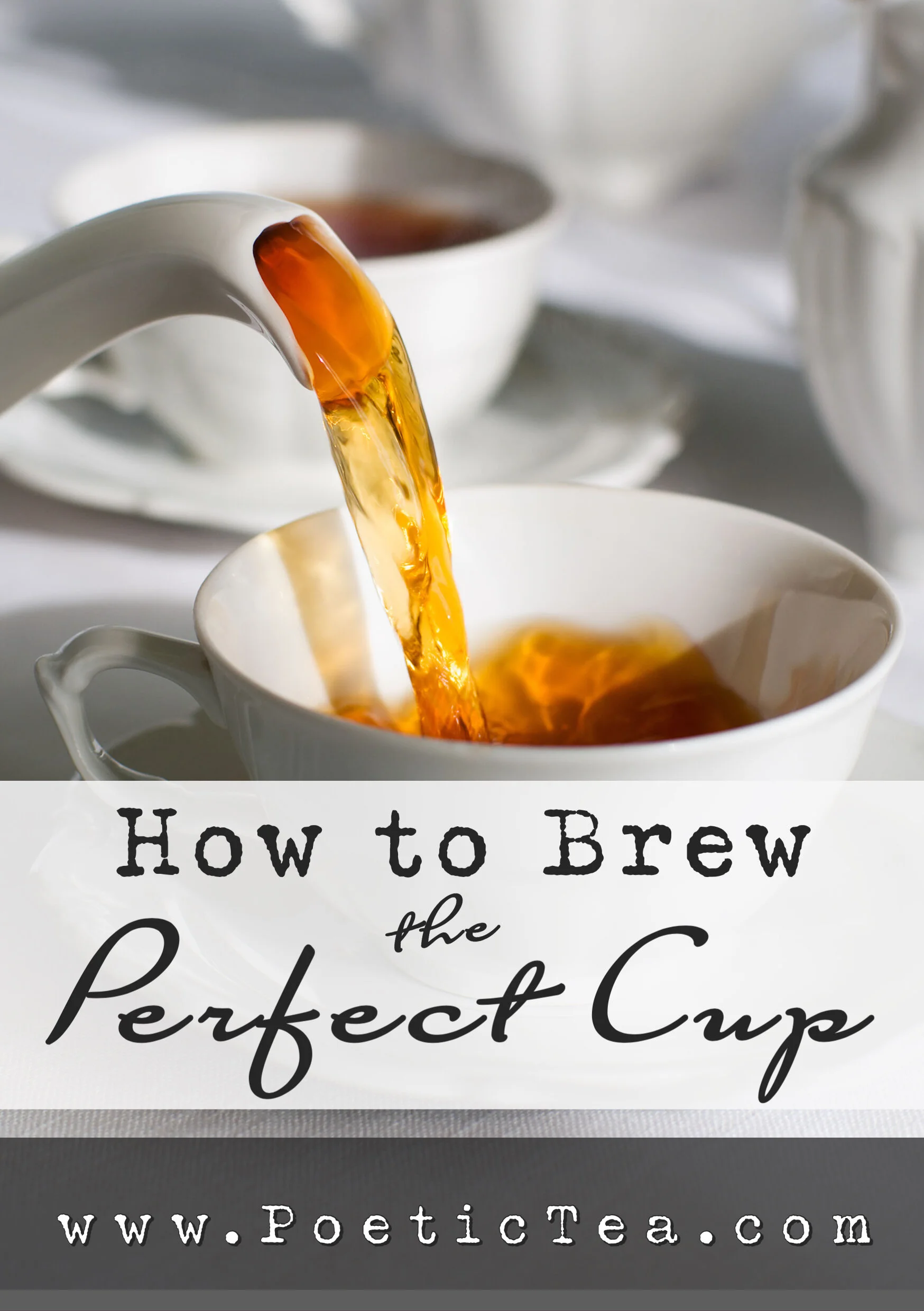 How to Brew Tea — Poetic Tea Company