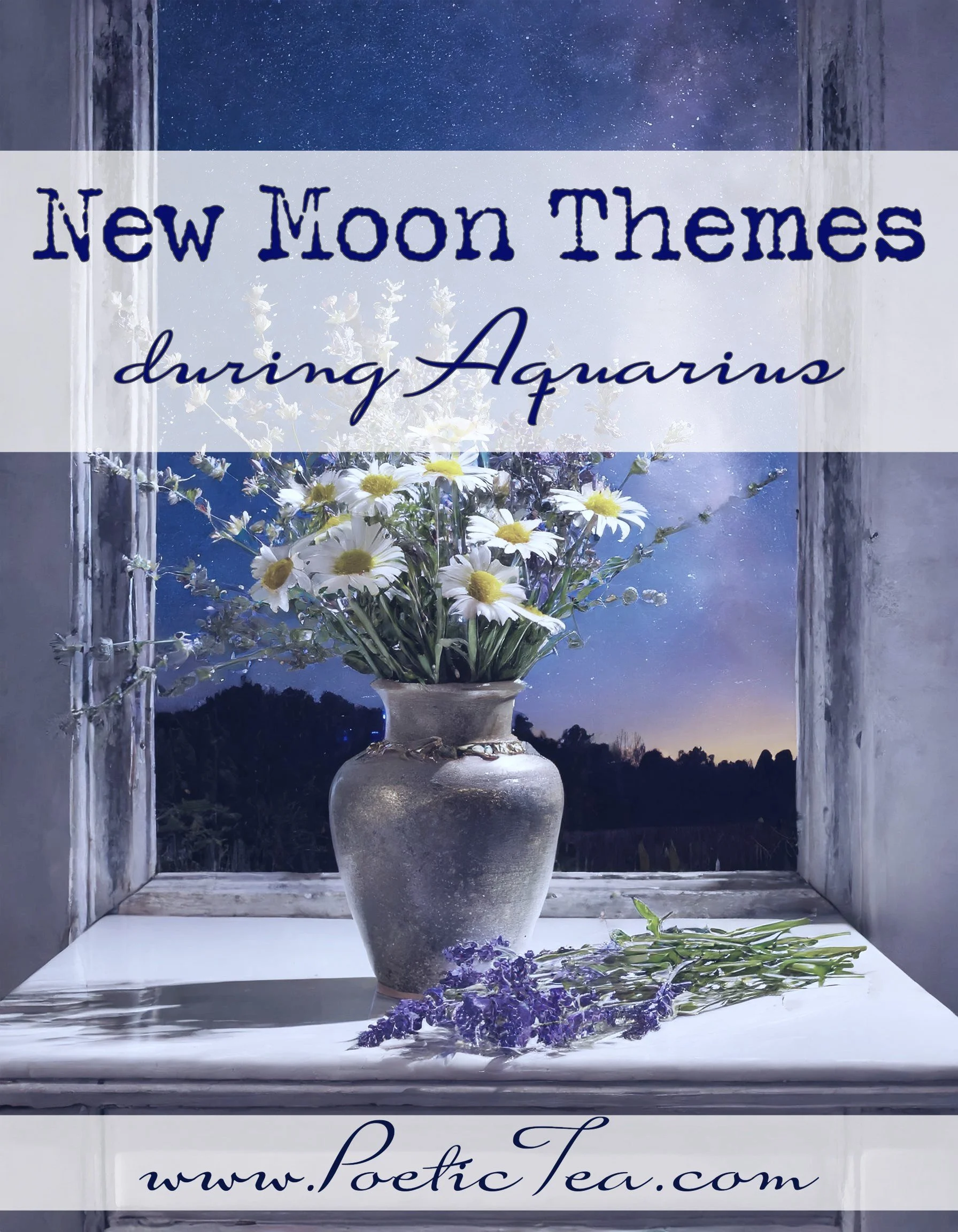 Herbal Aquarian Alchemy: Defining Intentions in the New Moon Phase ...