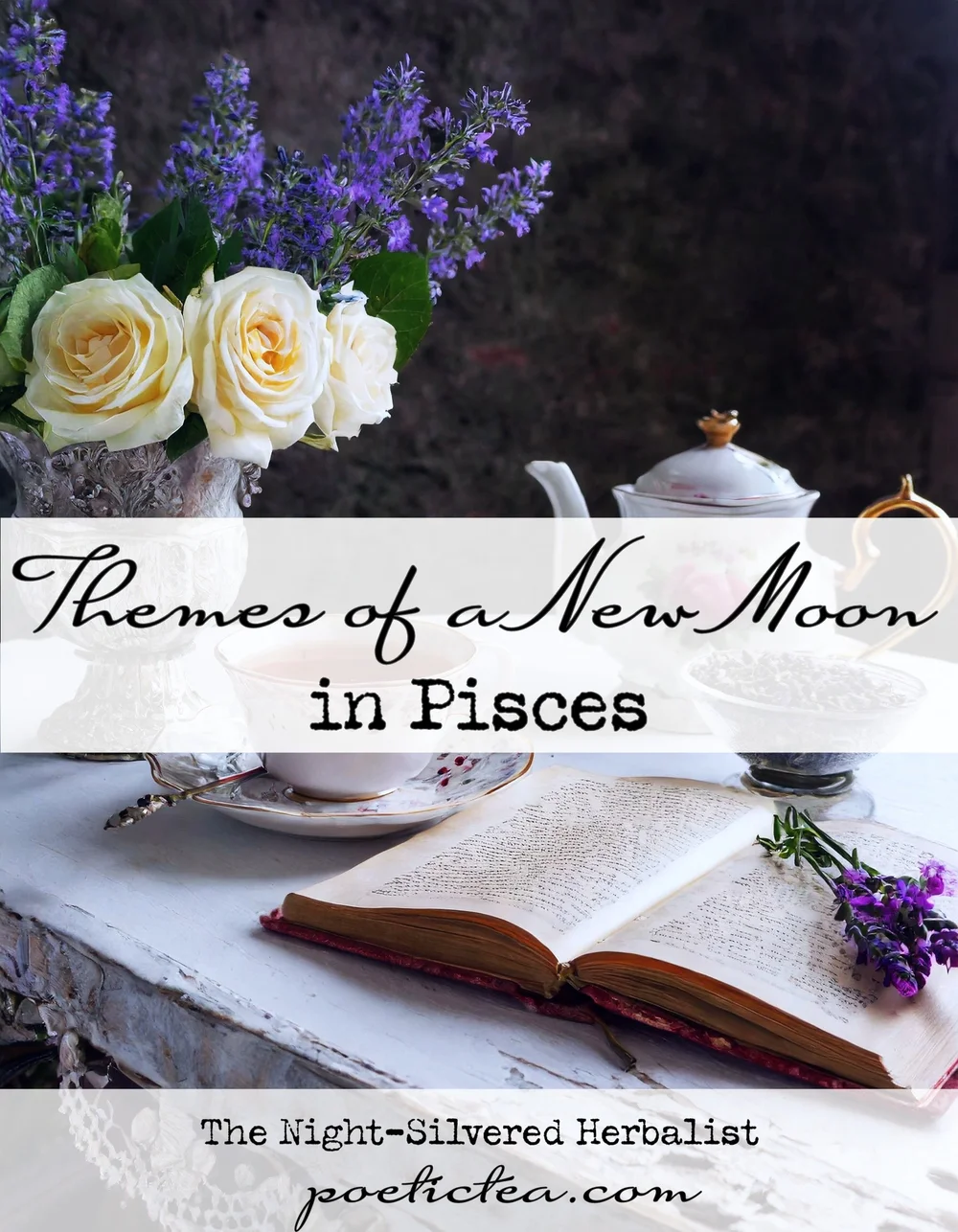 An Herbal Guide to the New Moon in Pisces — Poetic Tea Company