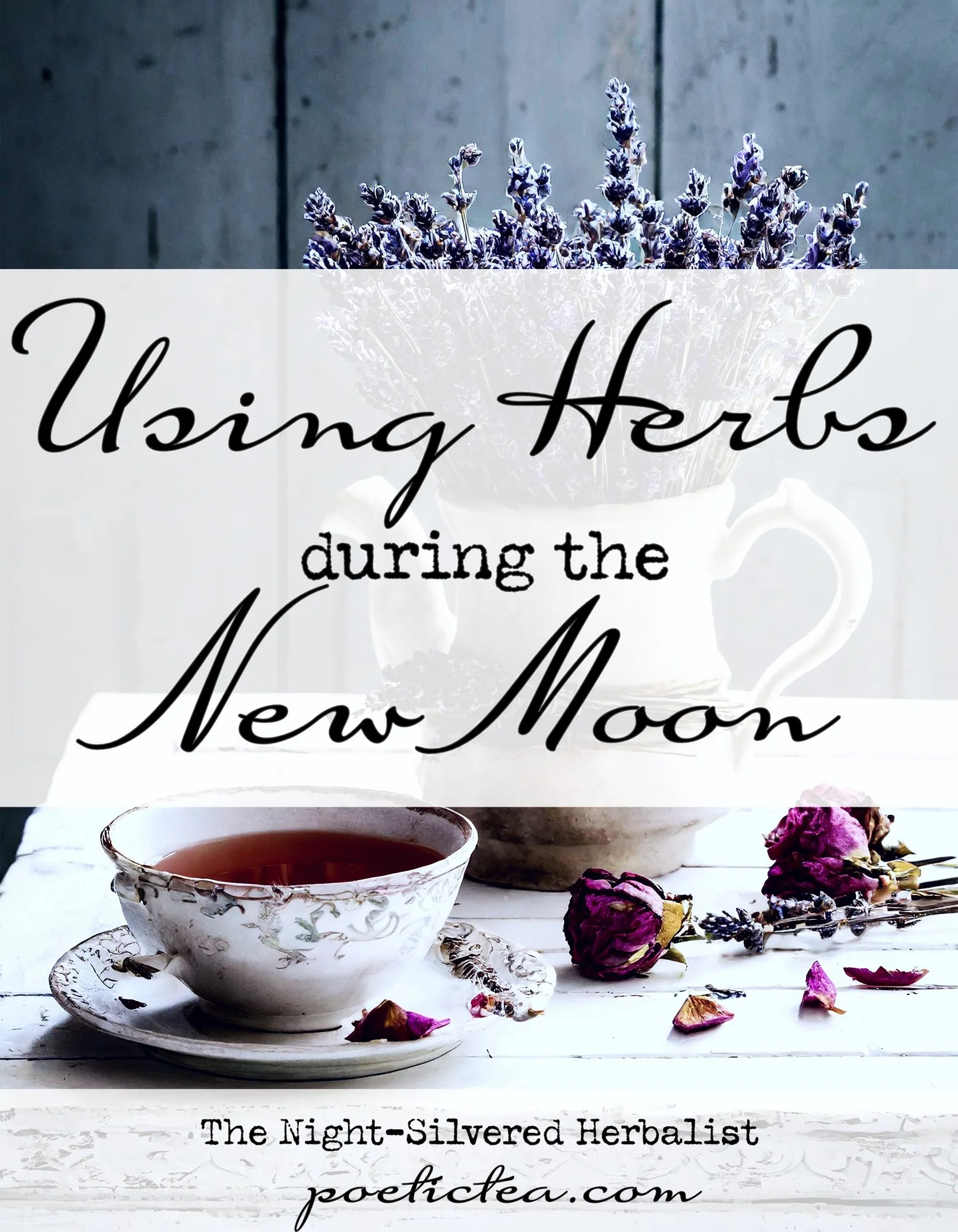 An Herbal Guide to the New Moon in Pisces — Poetic Tea Company