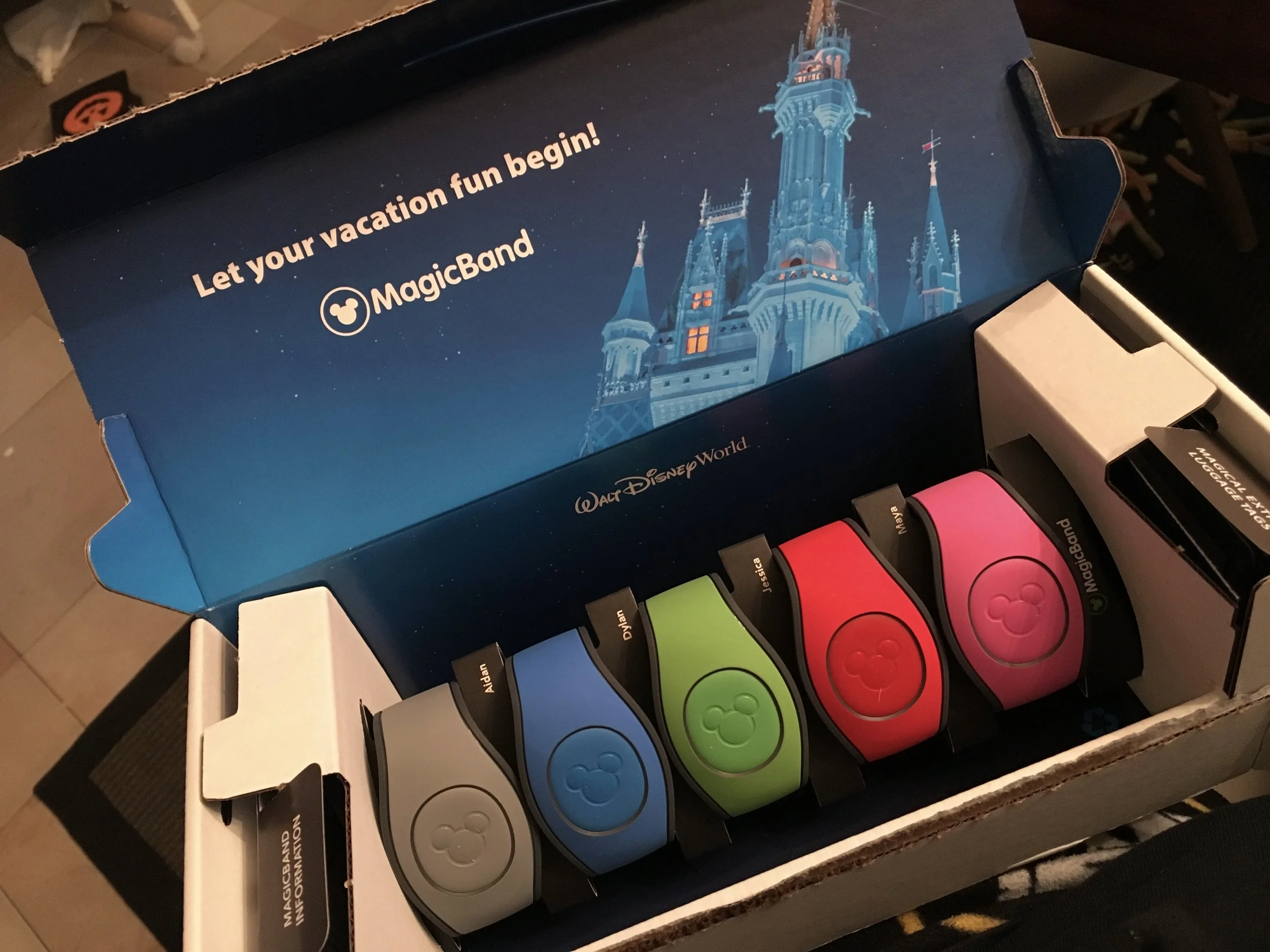 Everything You Need to Know About Magic Bands, Key to the World Cards ...