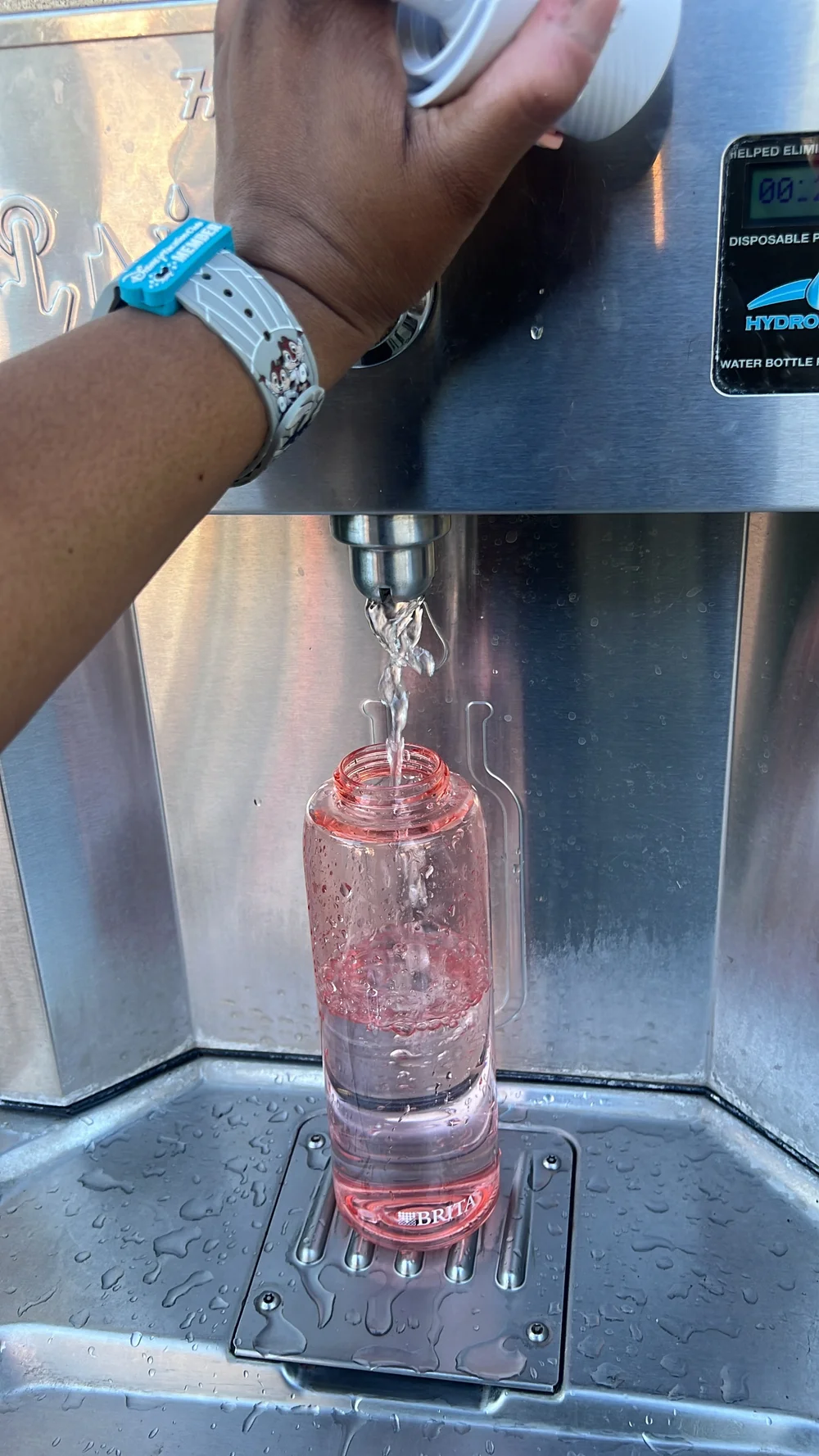 How to Survive Summer at Walt Disney World - Well Hello Magic