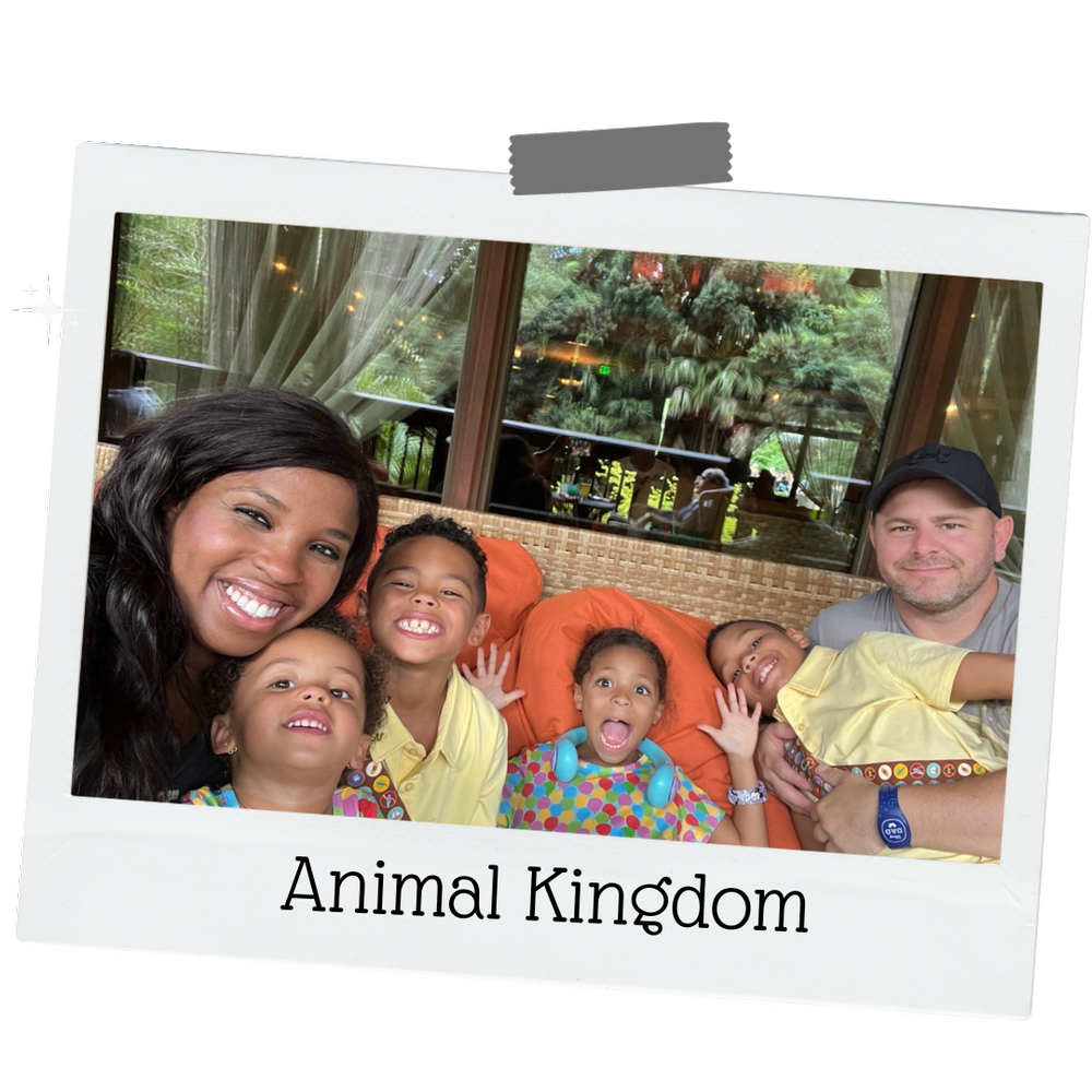 Disney Planning Course | Learn How to Plan a Trip to Disney - Well ...