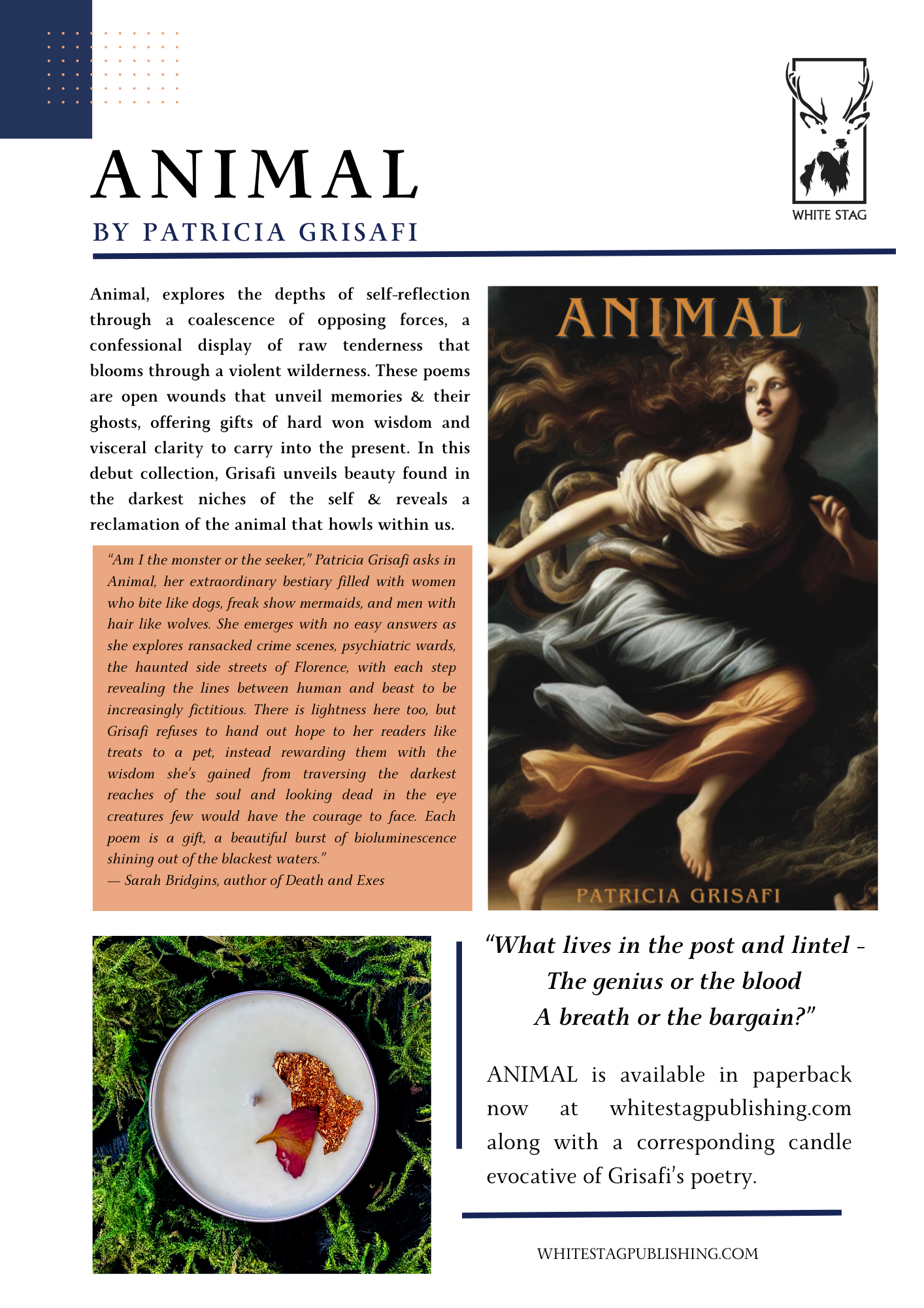 SHOPPE — WHITE STAG PUBLISHING