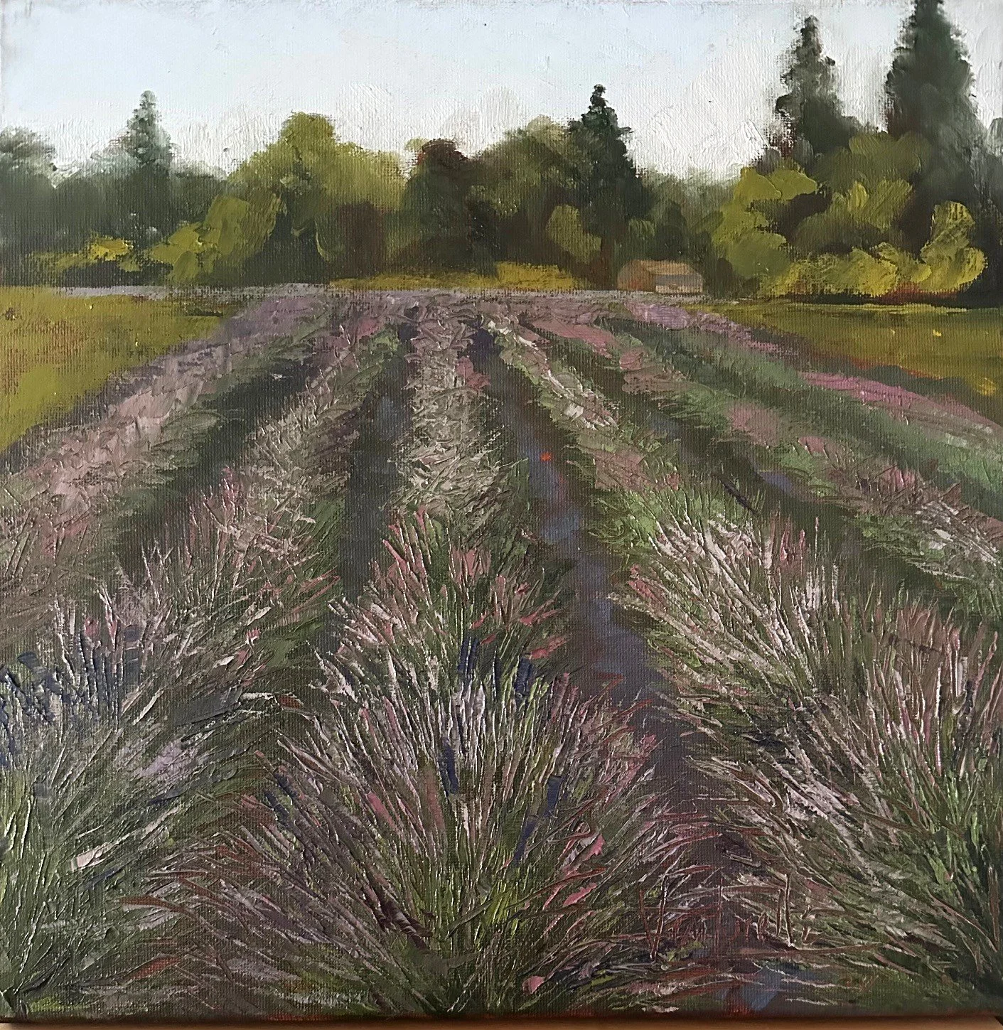 Nora Venturelli — WSG GALLERY