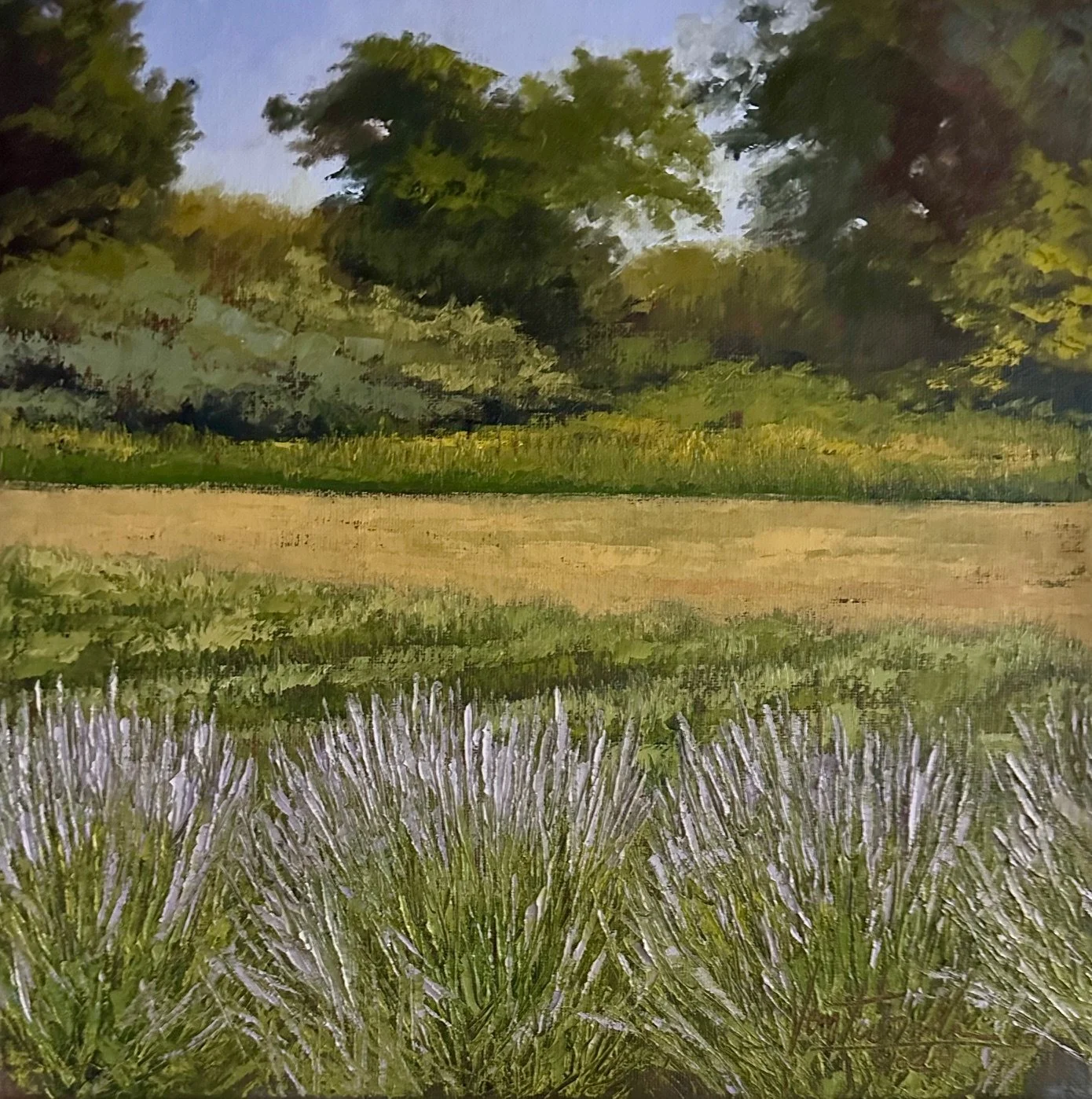 Nora Venturelli — WSG GALLERY