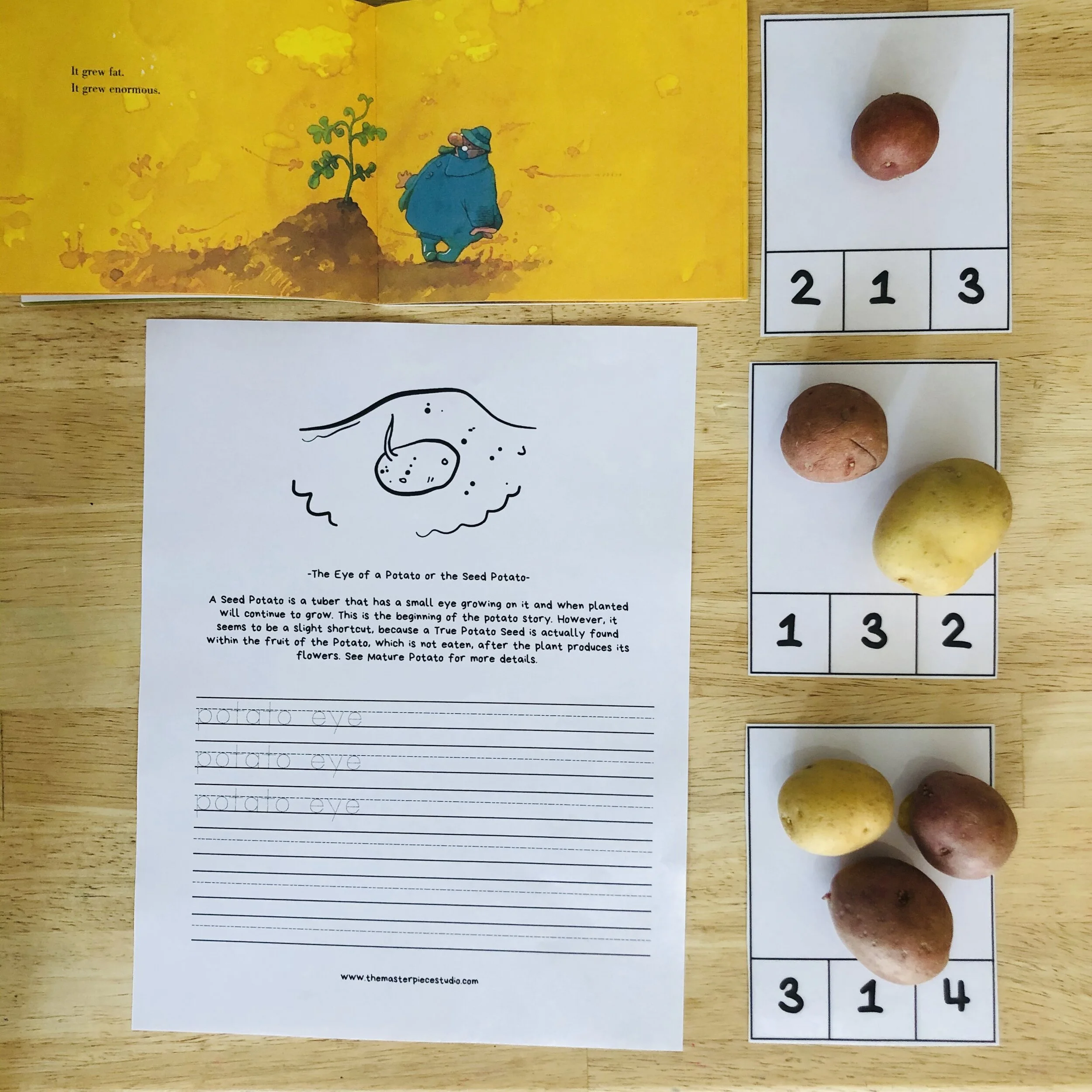 The Life Cycle of a Potato Unit Study Guide — The Masterpiece Studio HQ
