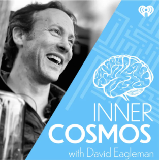 Watch — Prof. Joel Pearson