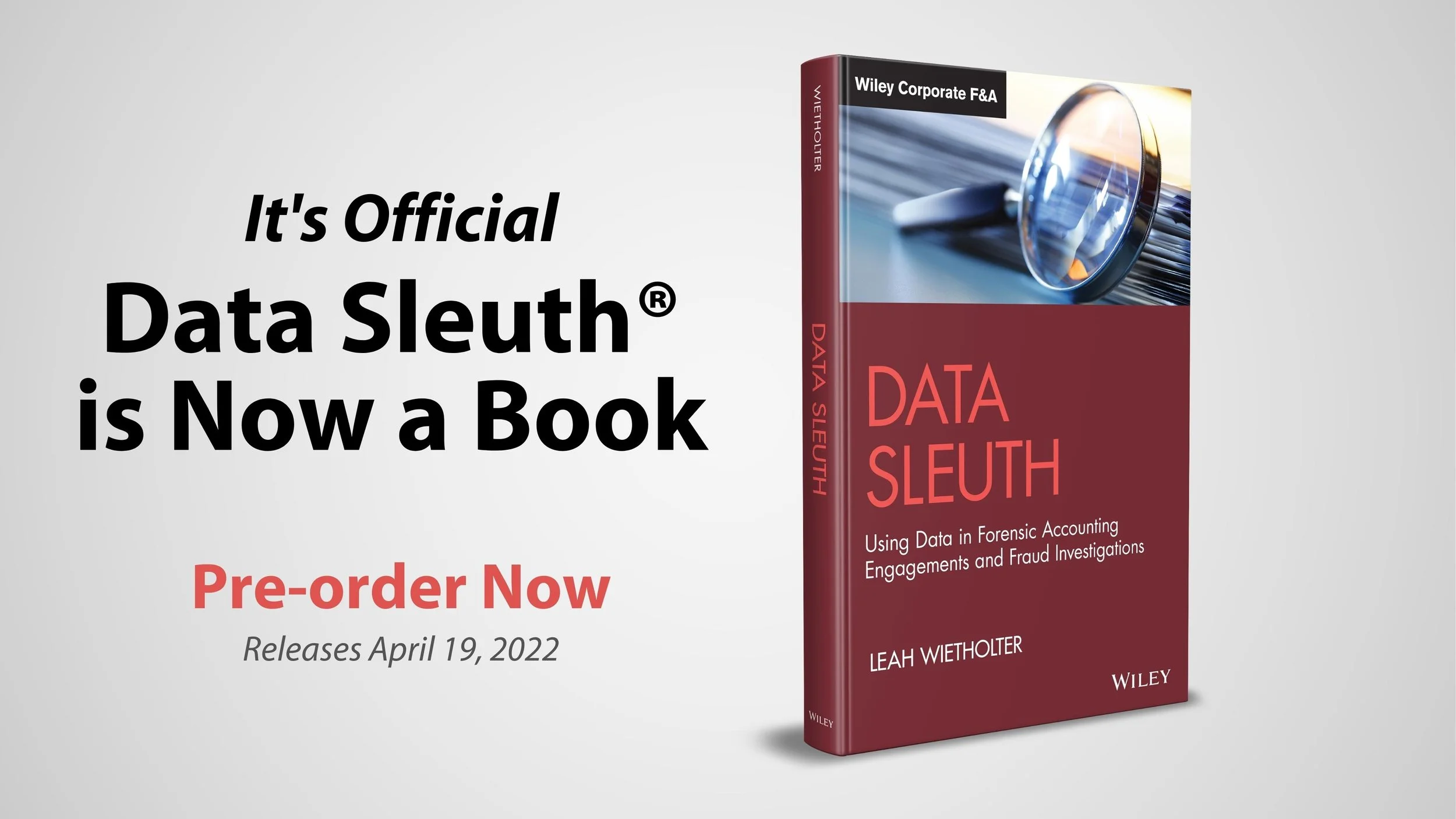 It’s Official - Data Sleuth® is Now a Book — Workman Forensics ...