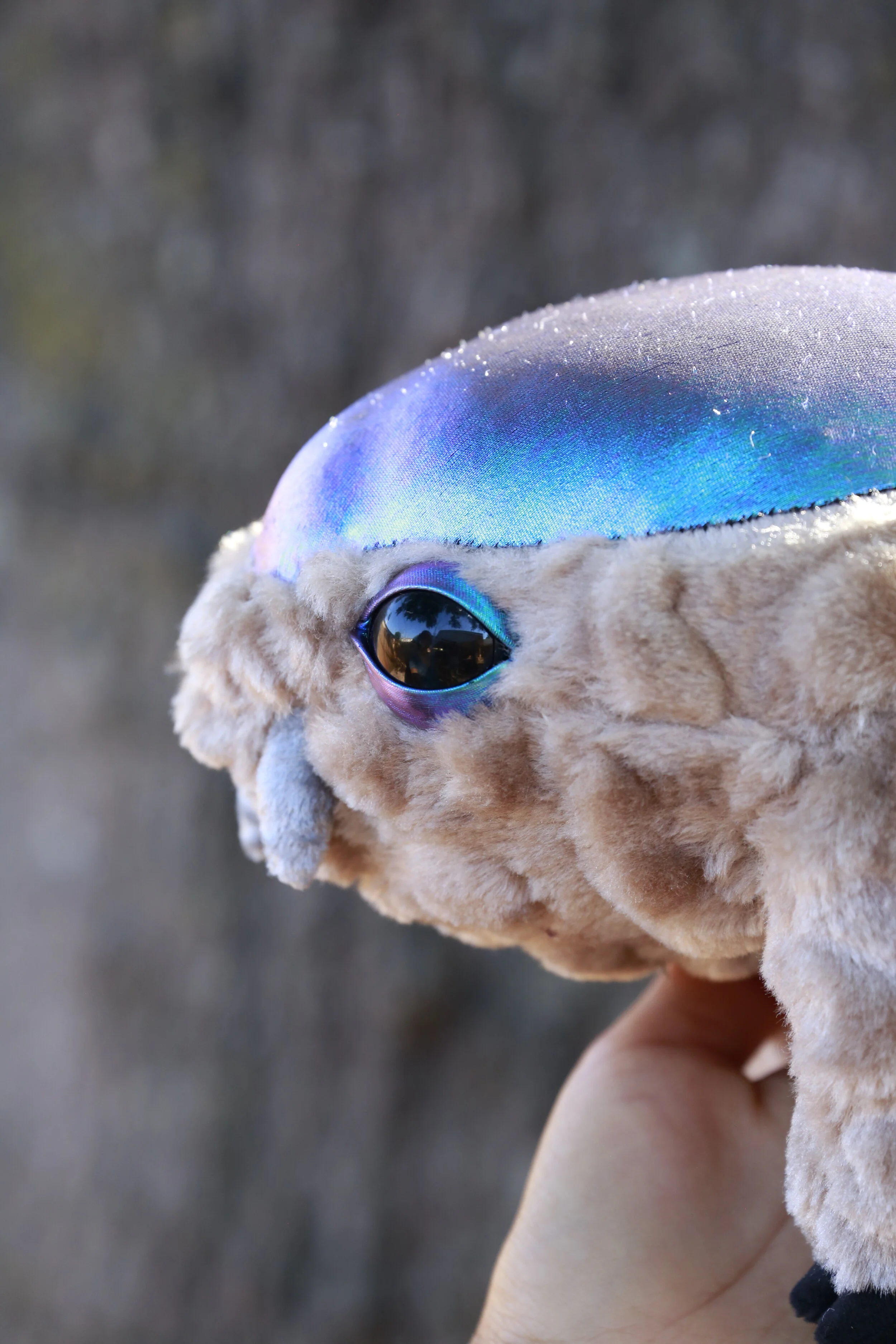 Who is the Silver Fanged Tail Stomper? — Earth Wrinkles