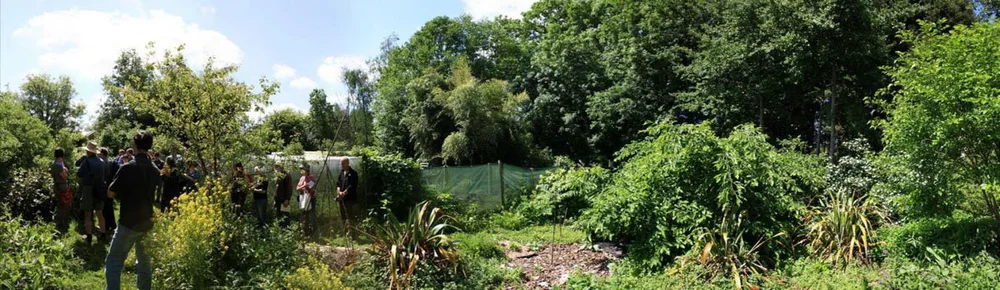 Visit Martin Crawford Forest Garden | Fasci Garden