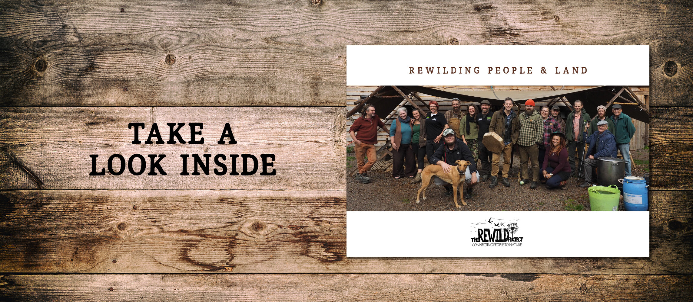 Rewild Structure — The Rewild Project