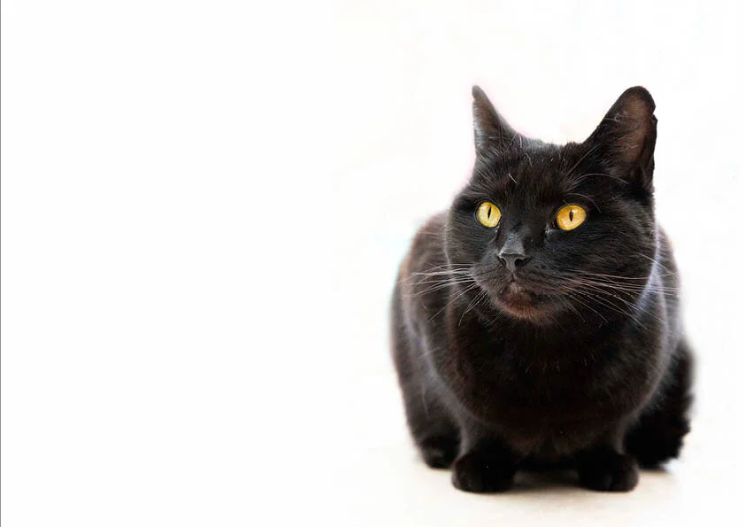 MTC DIGITAL CREATIVE