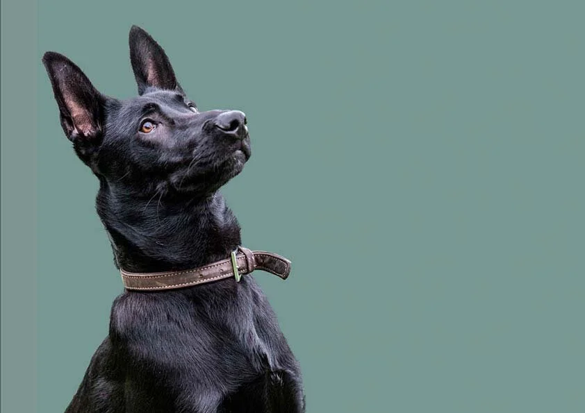 MTC DIGITAL CREATIVE