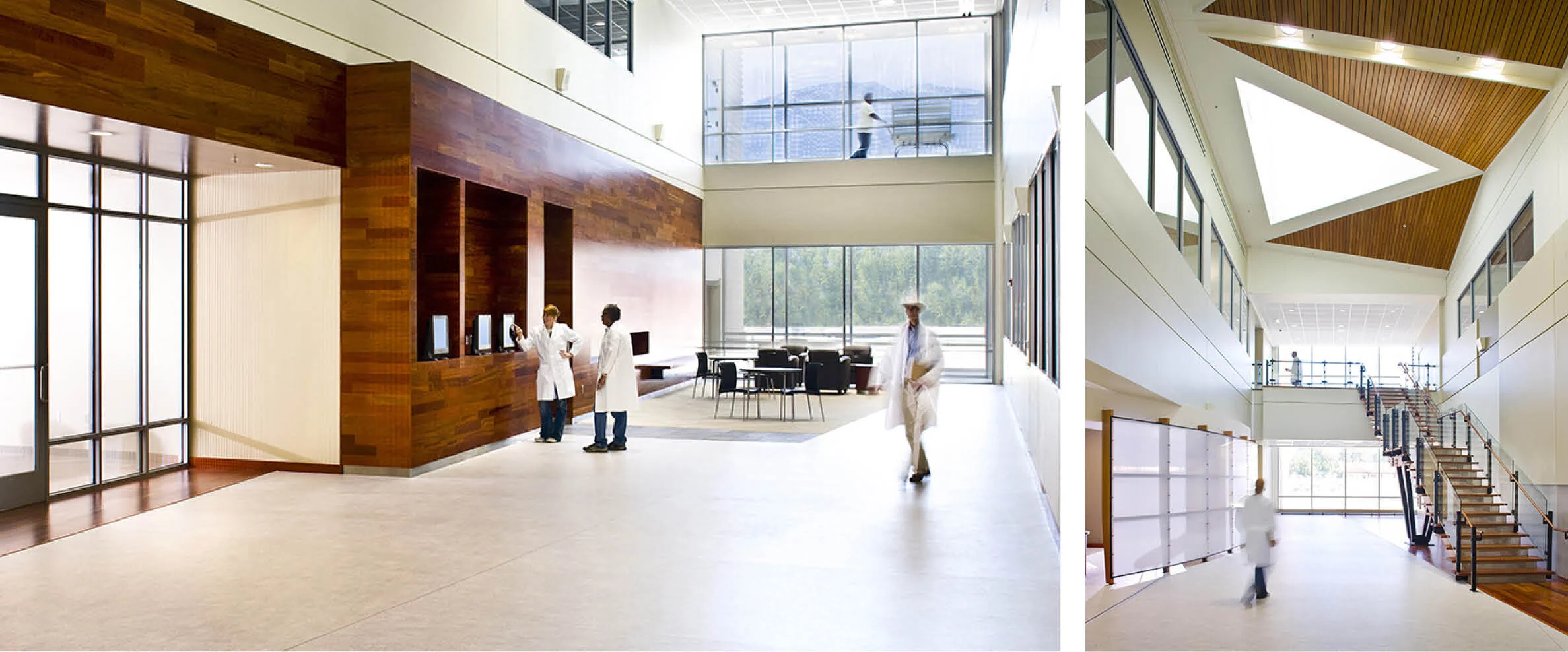Science and Technology Portfolio — Architecture49 Marketing