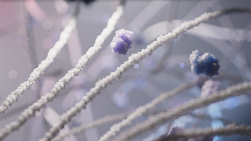 Products | STEDICAL SCIENTIFIC — Stedical Scientific