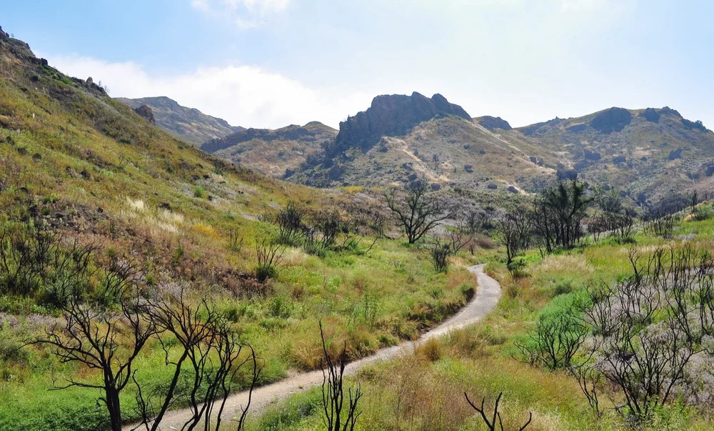 Community Brigade — Los Angeles Emergency Preparedness Foundation