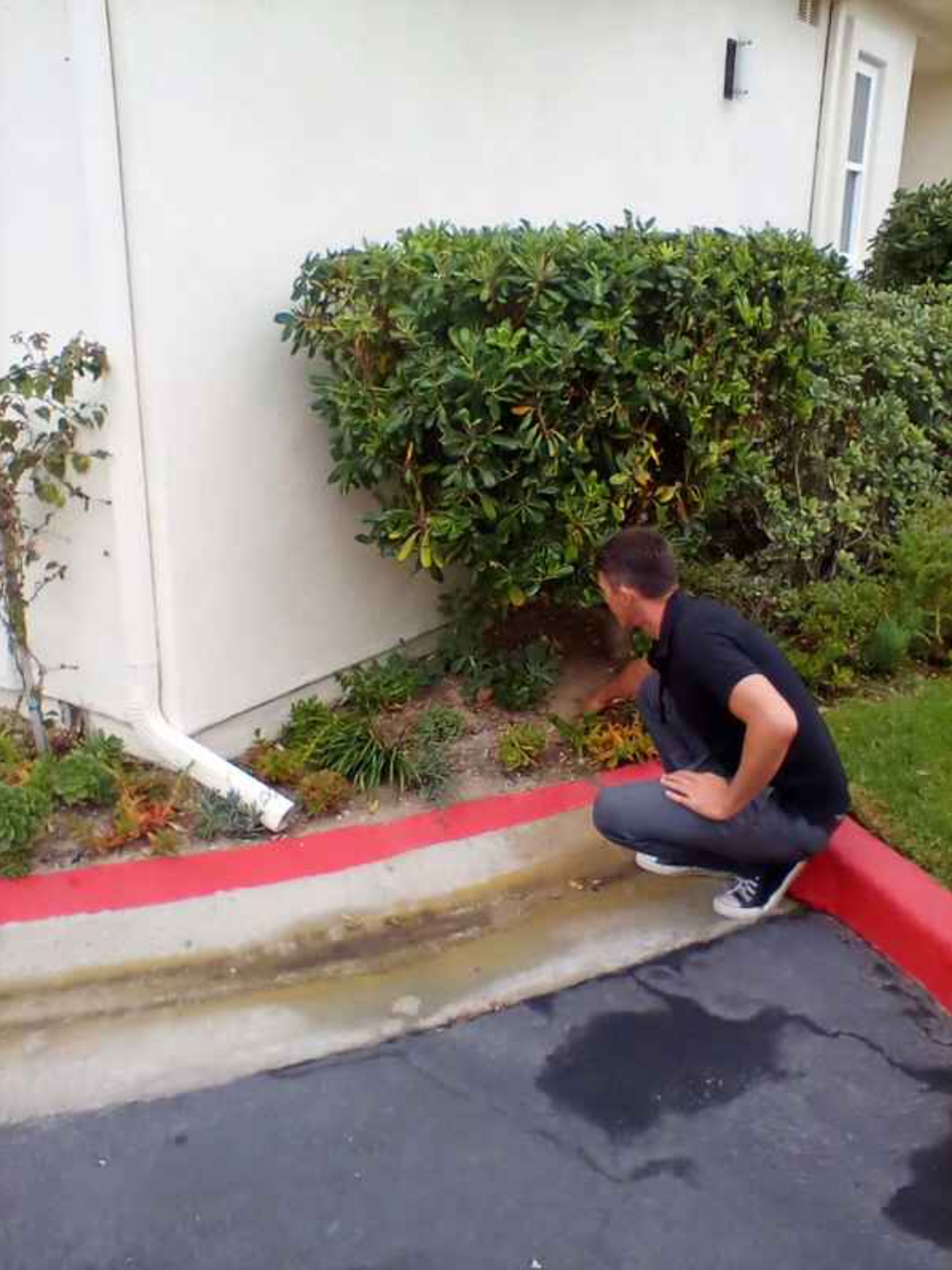 Home Ignition Zone Assessments Los Angeles Emergency Preparedness