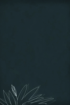 Bleeding Heart - garden gif — WILLIAMSON STUDIO