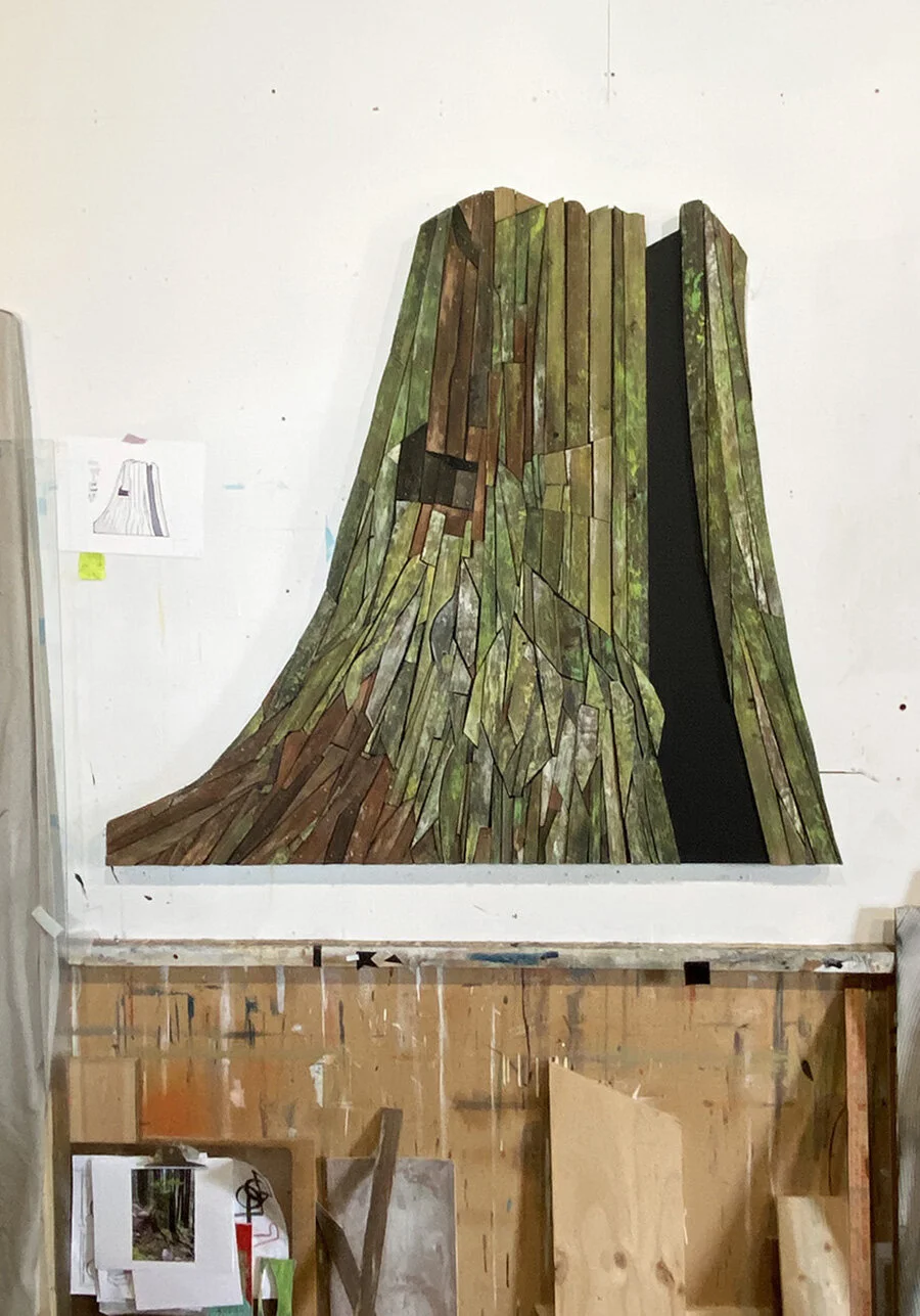 Riven Stump — WILLIAMSON STUDIO
