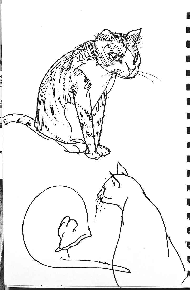 Blog Cleanser (random cats) — WILLIAMSON STUDIO
