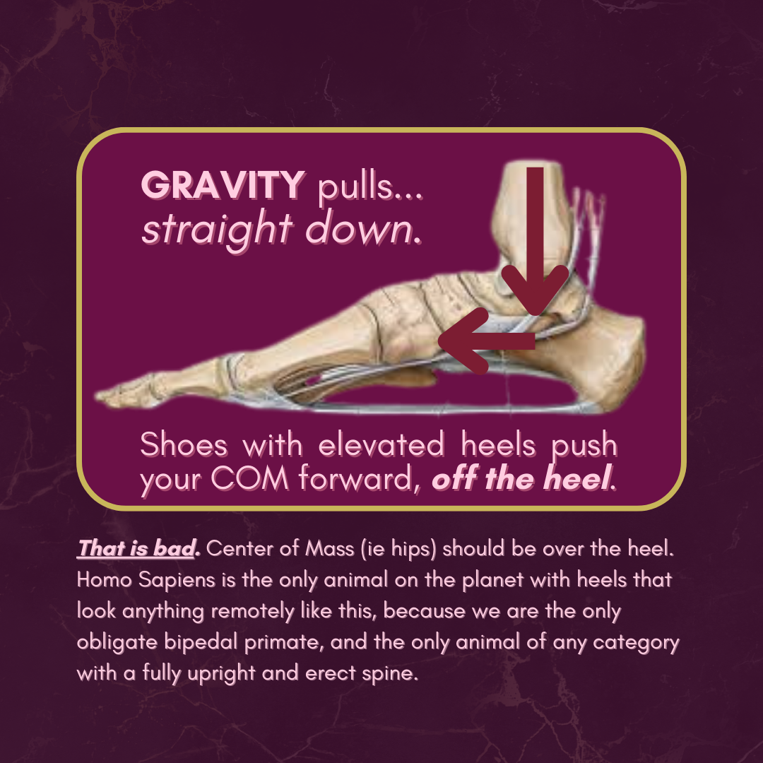 ZDWT: The Game-Changing Shoes That Transformed My Foot Health — Lagree ...