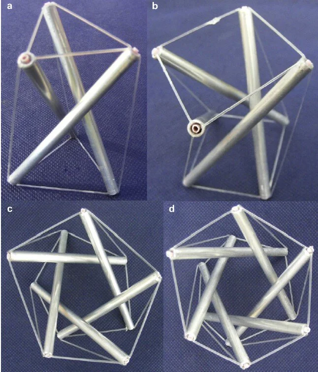 Part 1/2: Biotensegrity – The Geometry of Nature — Ryan Maron ...