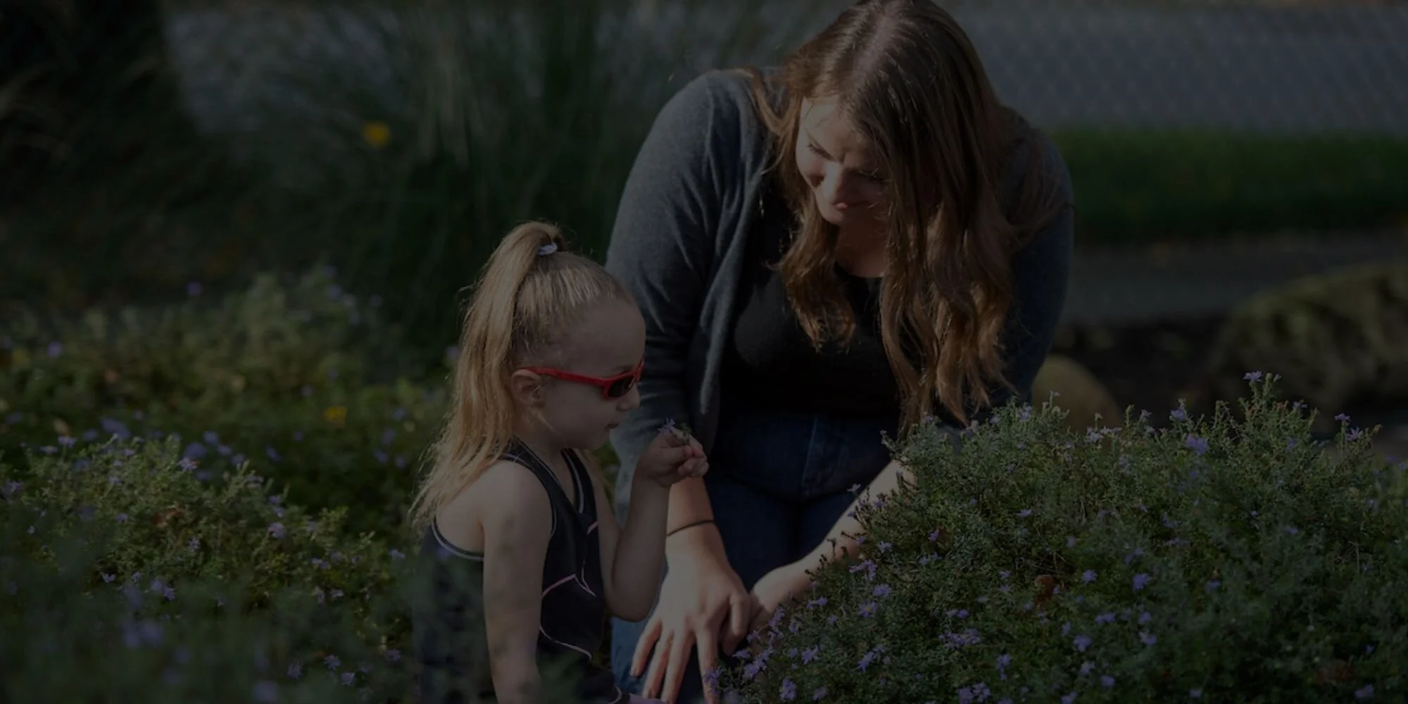 Get Involved — CCVI