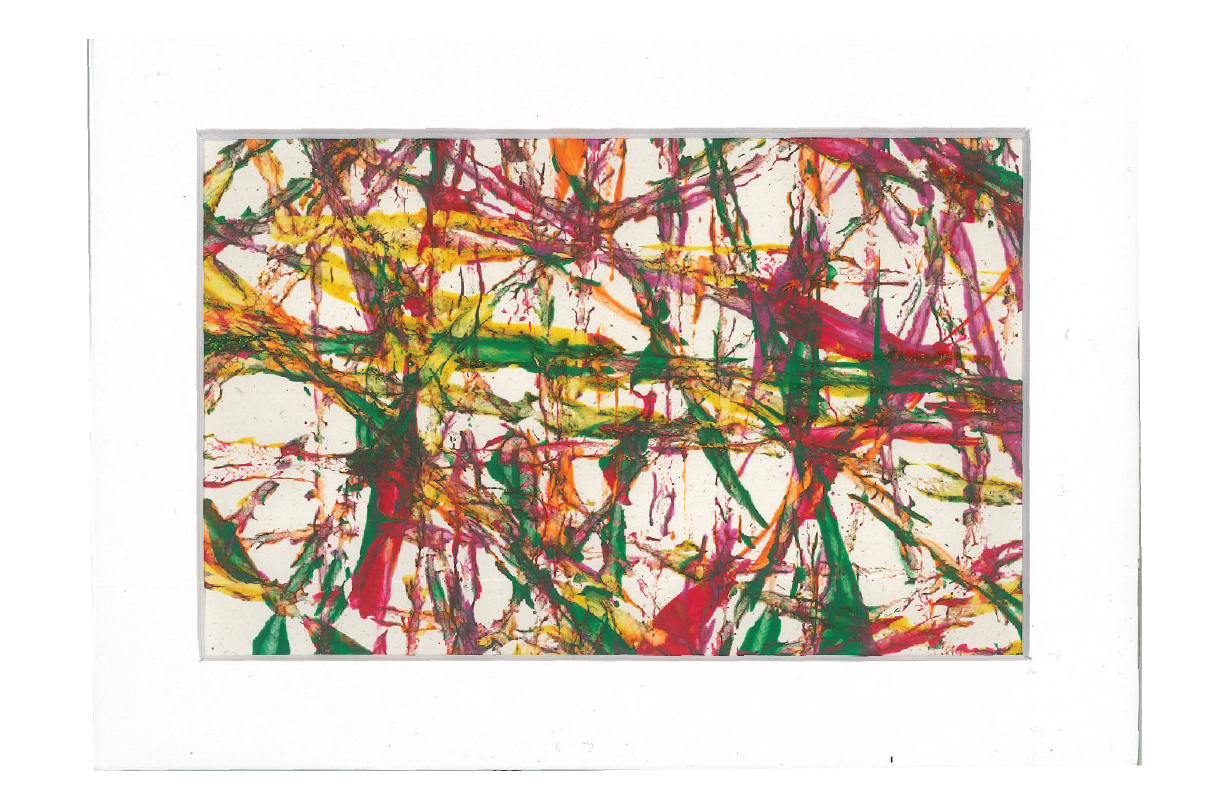 6 Reasons Why You Should Give to CCVI this Giving Season — CCVI