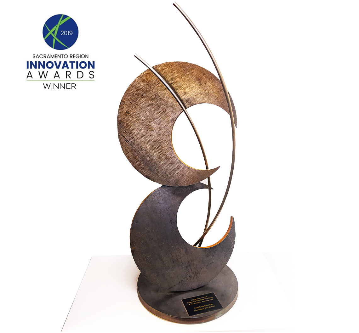 Vite Ramen - High Protein, healthy, and nutritionally complete ramen