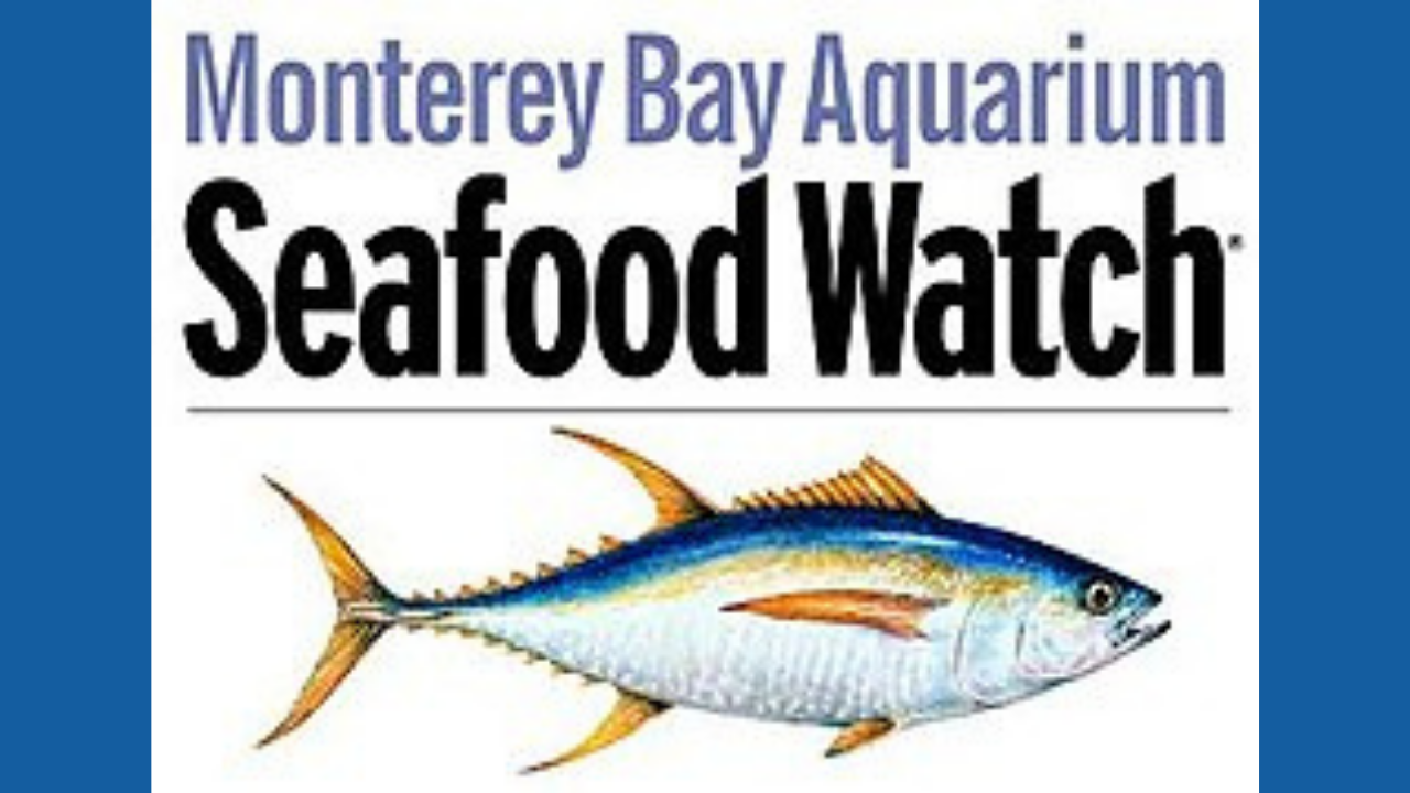 Resources Page — Elevate Theatre Company