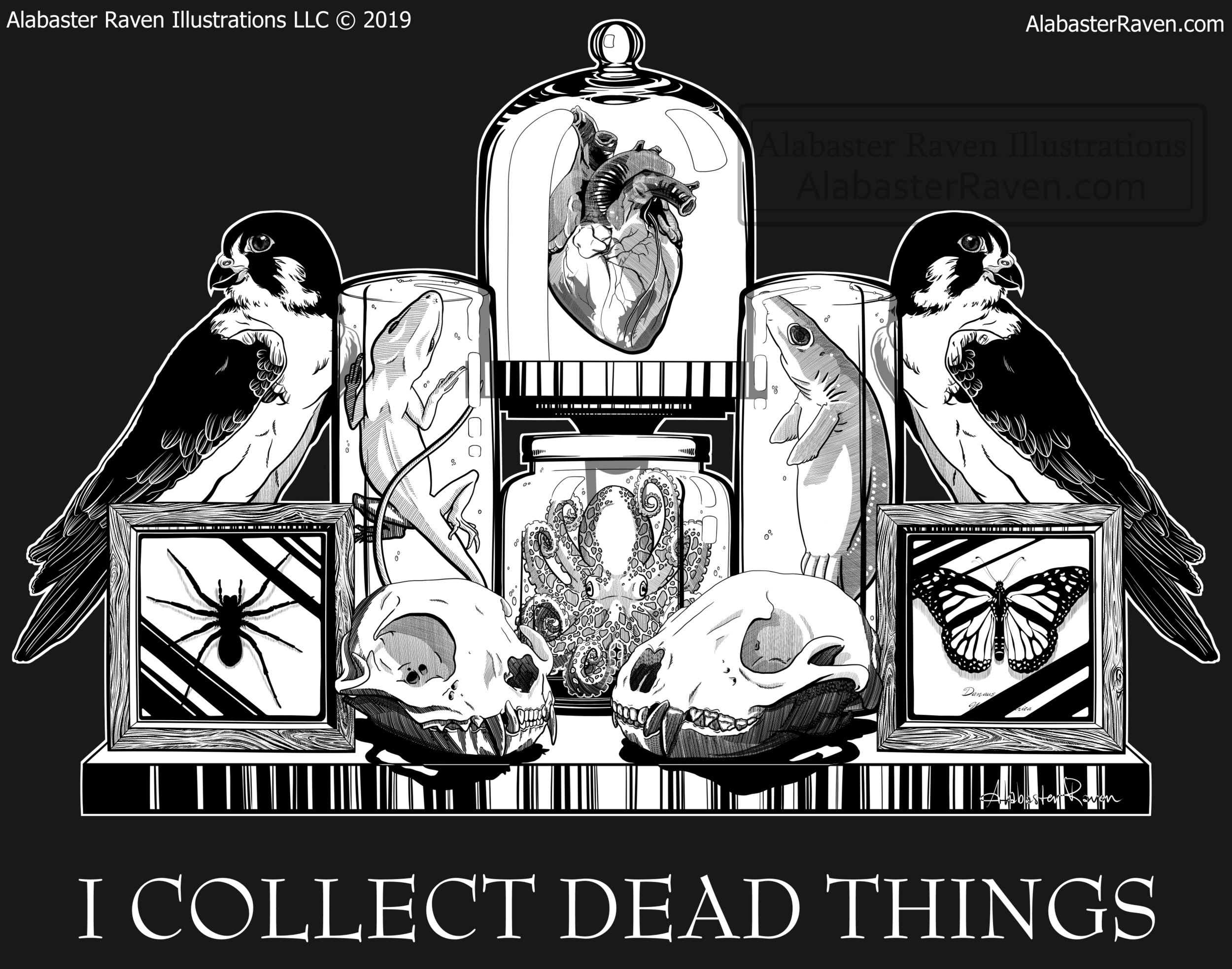 Gallery — Alabaster Raven Illustrations