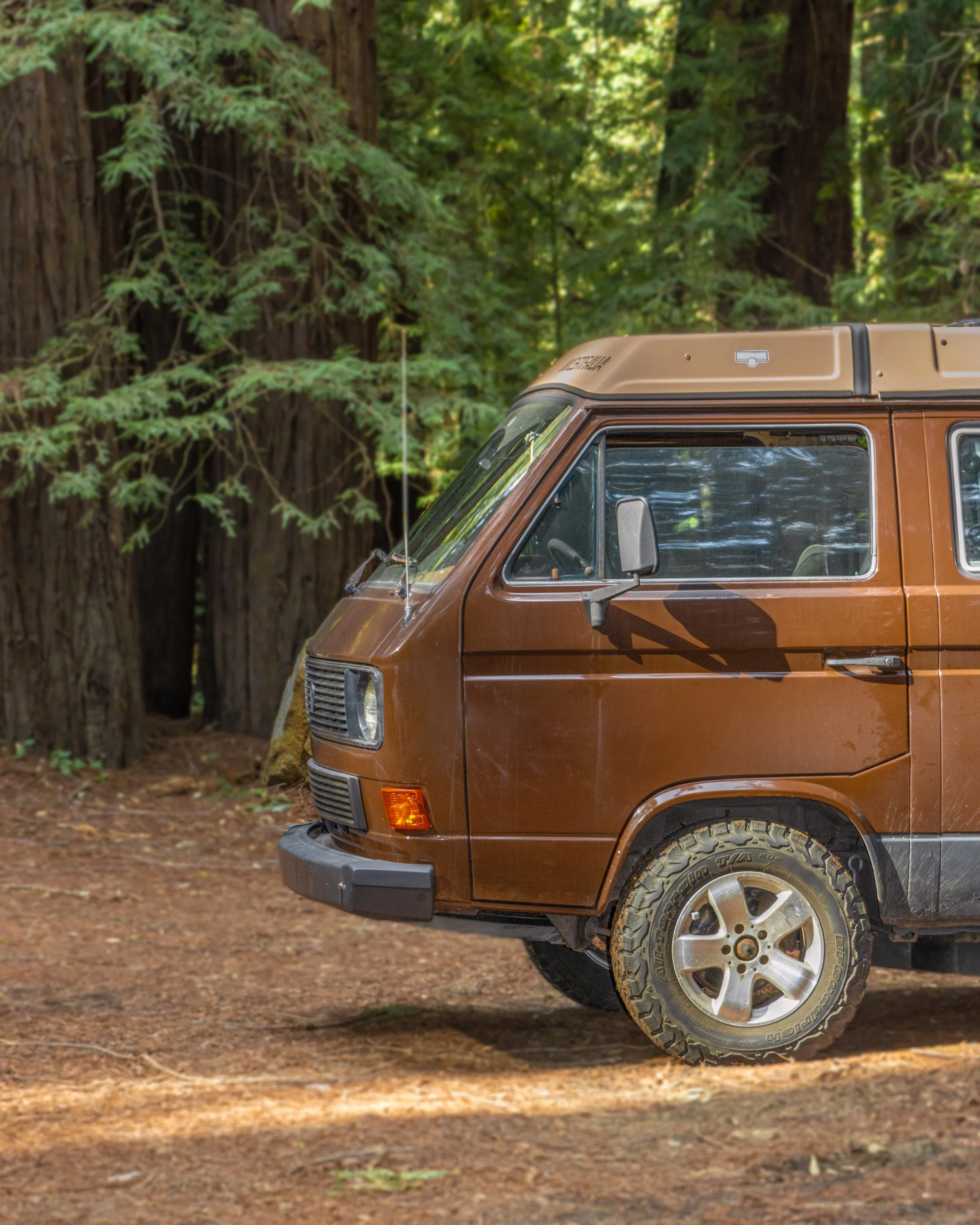 GALLERY — LIDIA RICO