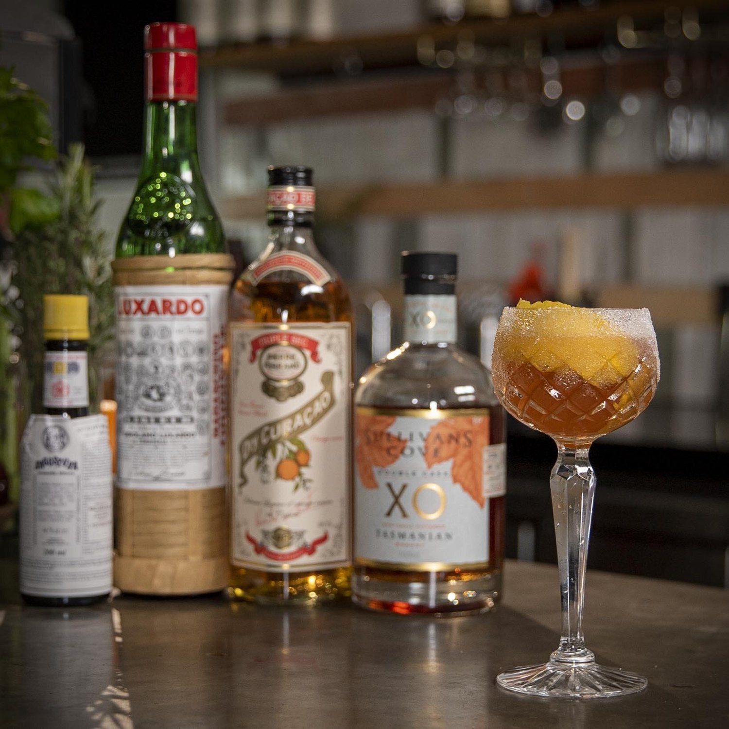 How to make The Brandy Crusta — Behind the Bar