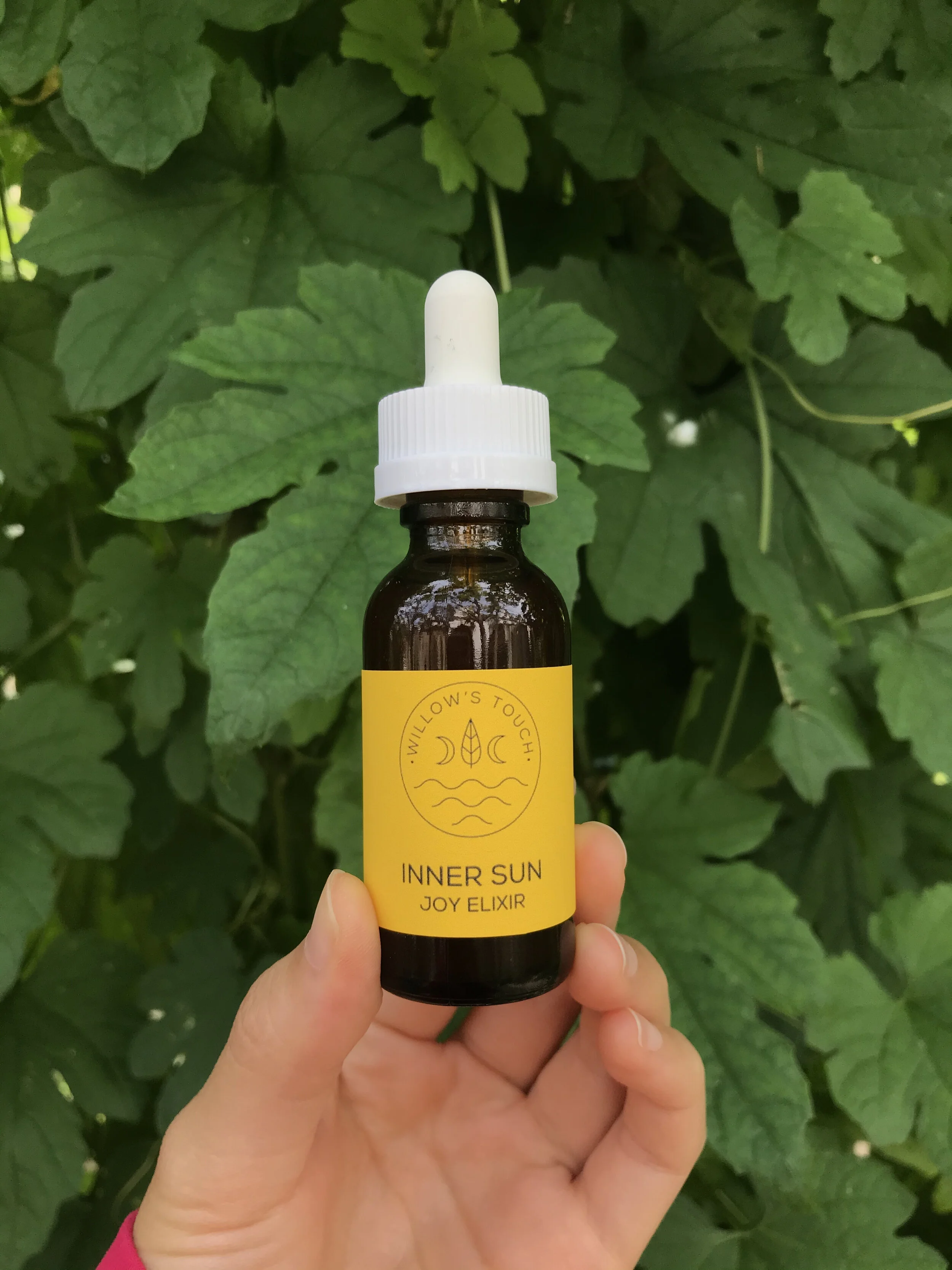 Apothecary — WILLOW'S TOUCH