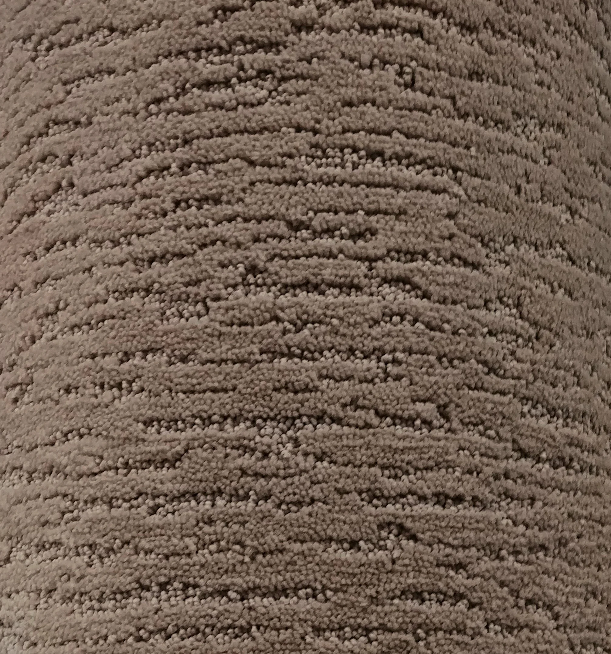 Selecting Carpet — Cash & Carry Carpet Outlet