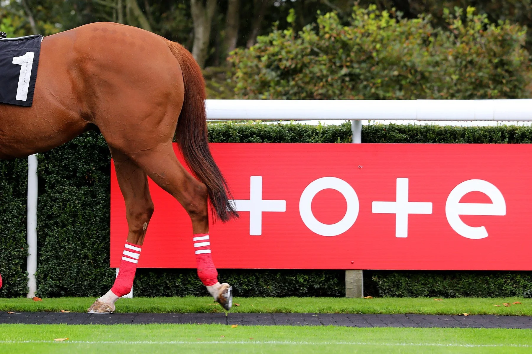 Chairman Blog - 7 reasons to celebrate Two Years of the new Tote — UK ...