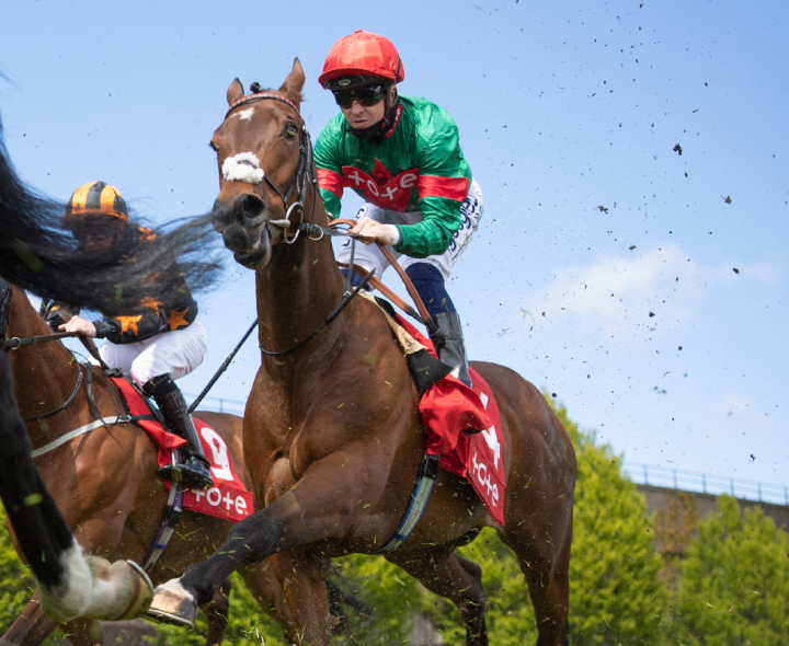 UK Tote Group - For The Future of Racing