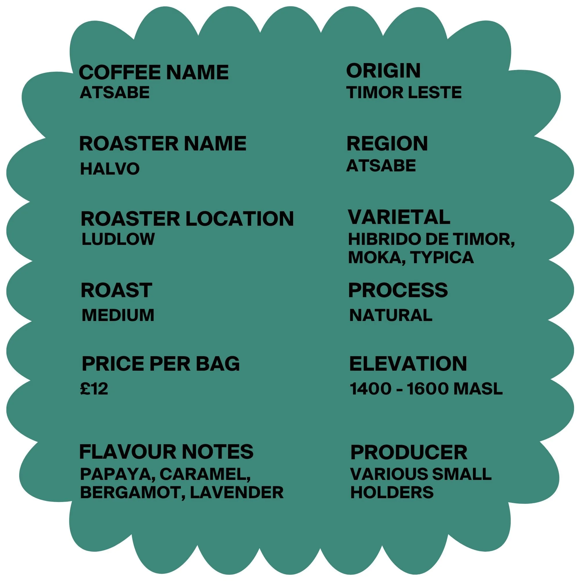 Halvo Coffee Roasters | Review | Batch Coffee Club