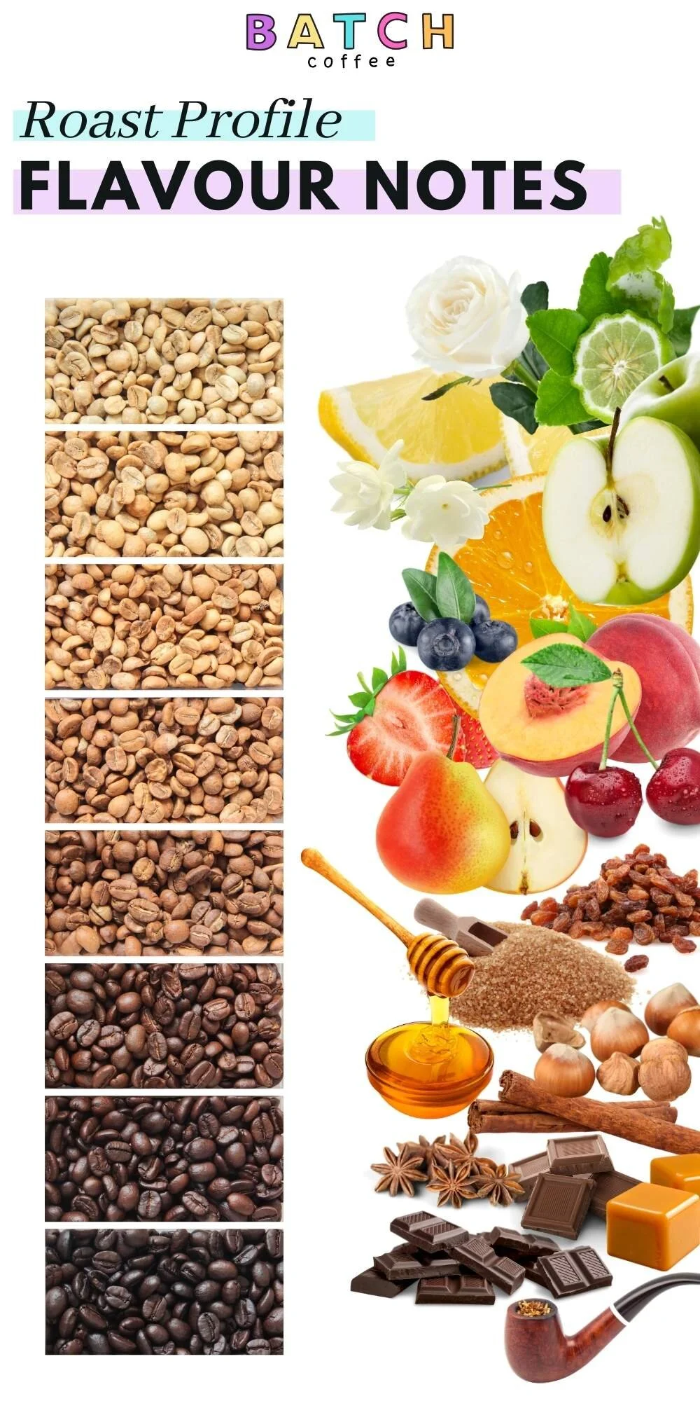 4 Different Types of Coffee Beans (plus 16 varietals)