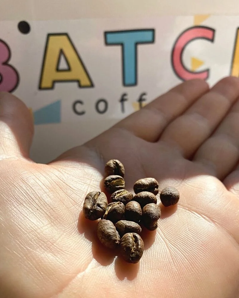 What is Peaberry Coffee? (2022 Guide to Peaberry Coffee Beans)