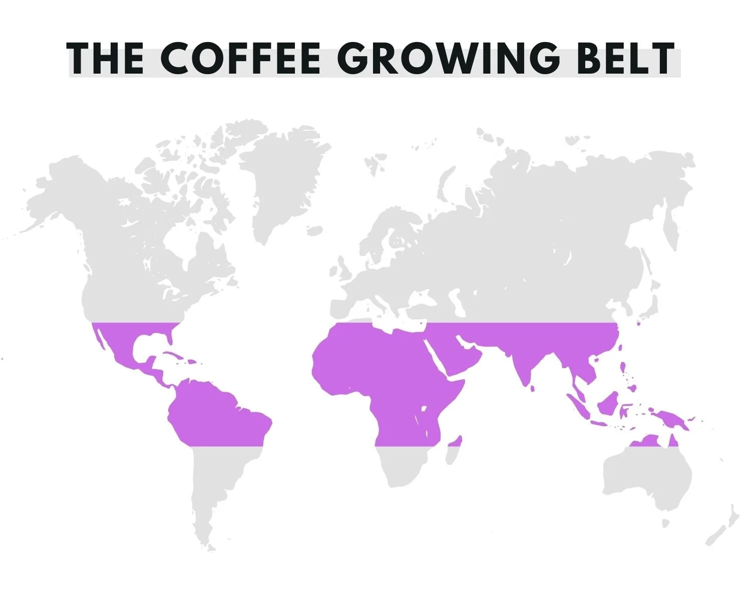 Where Does Coffee Come From? Tom's Guide